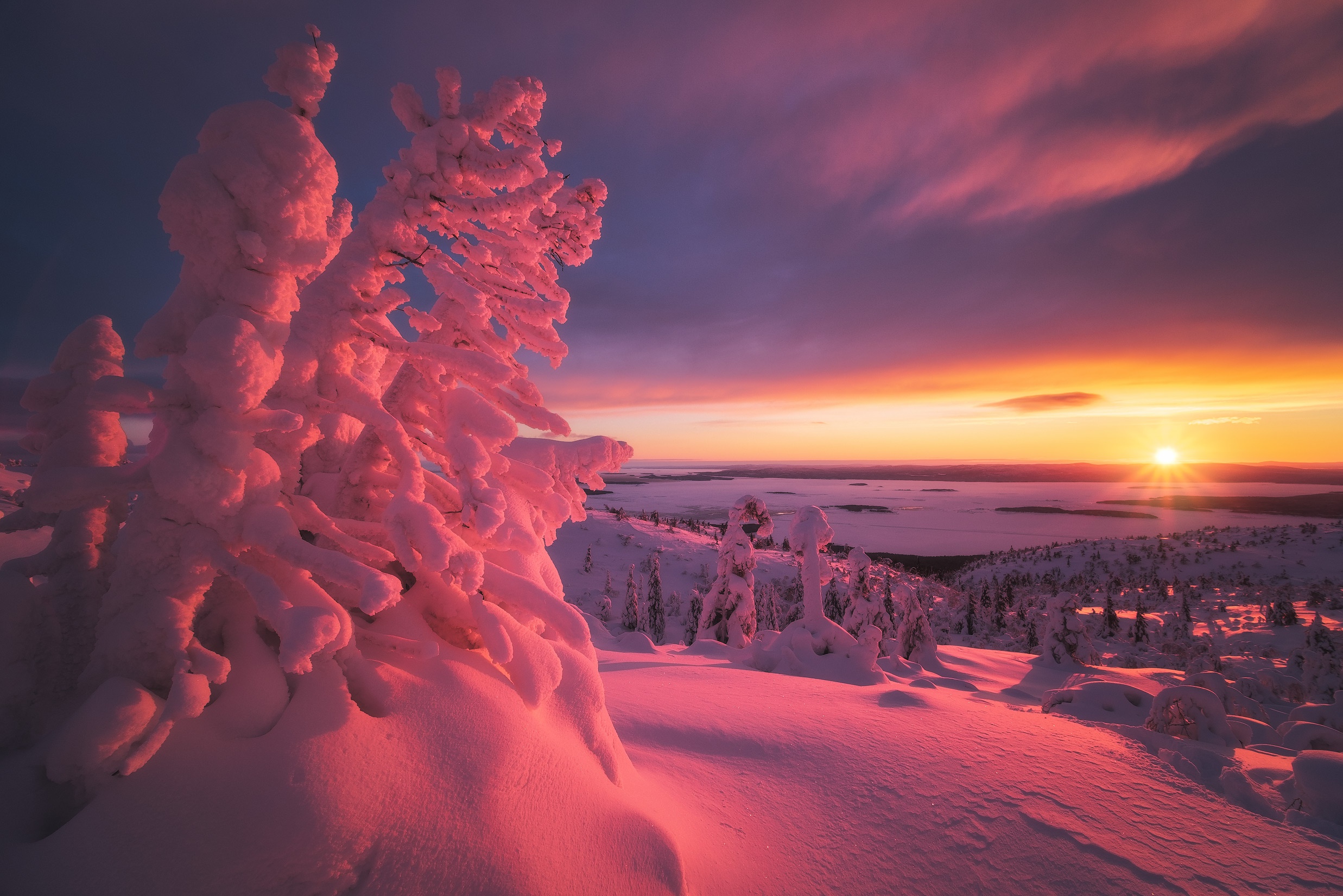 Winter Sunrise Horizon: Stunning Snowy Landscape HD Wallpaper