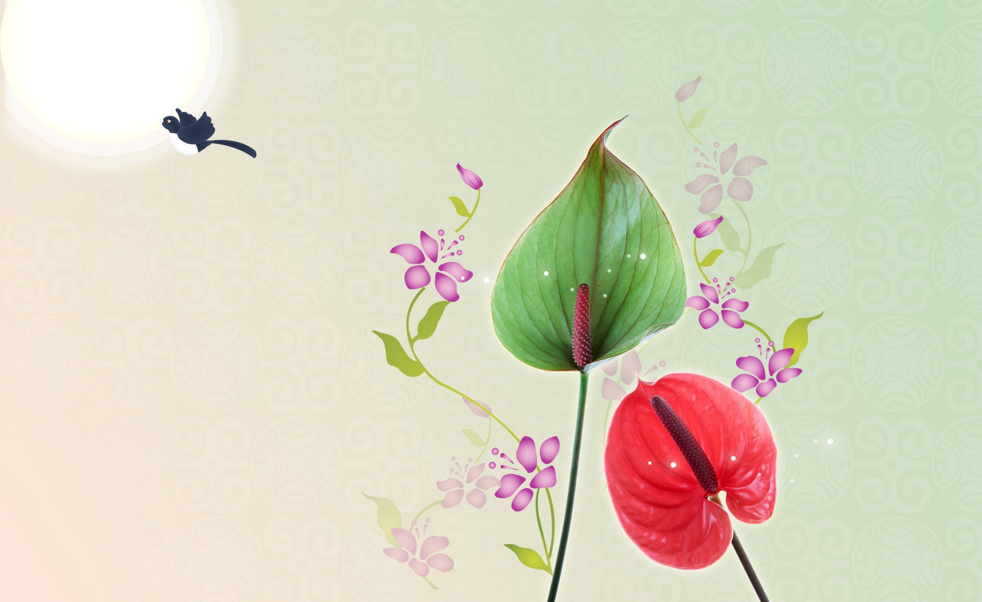 Anthurium HD Wallpaper