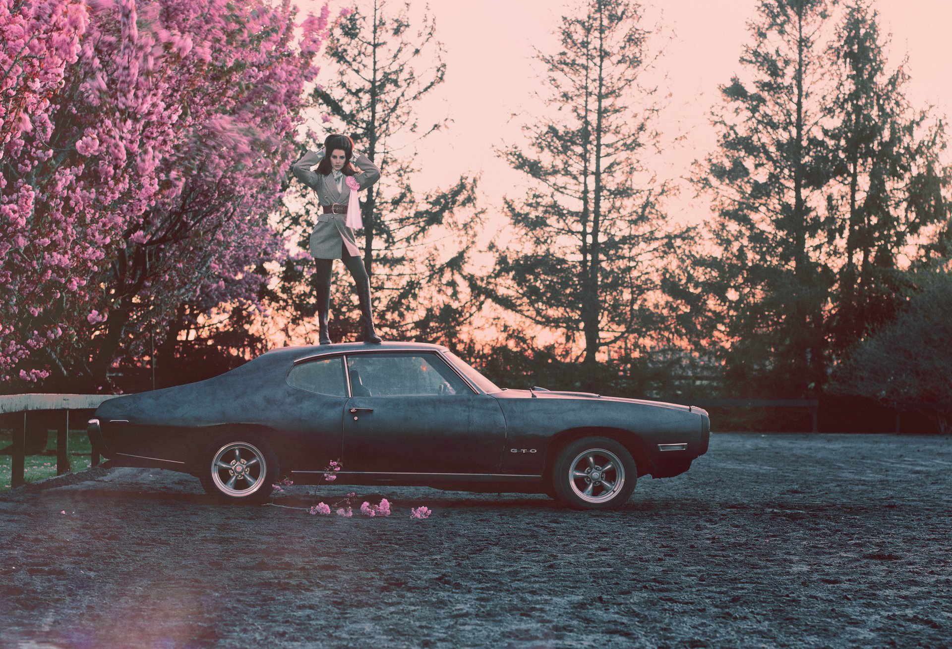 Lana Del Rey’s 4K Classic Ride: American Music & Timeless Vibes Wallpaper