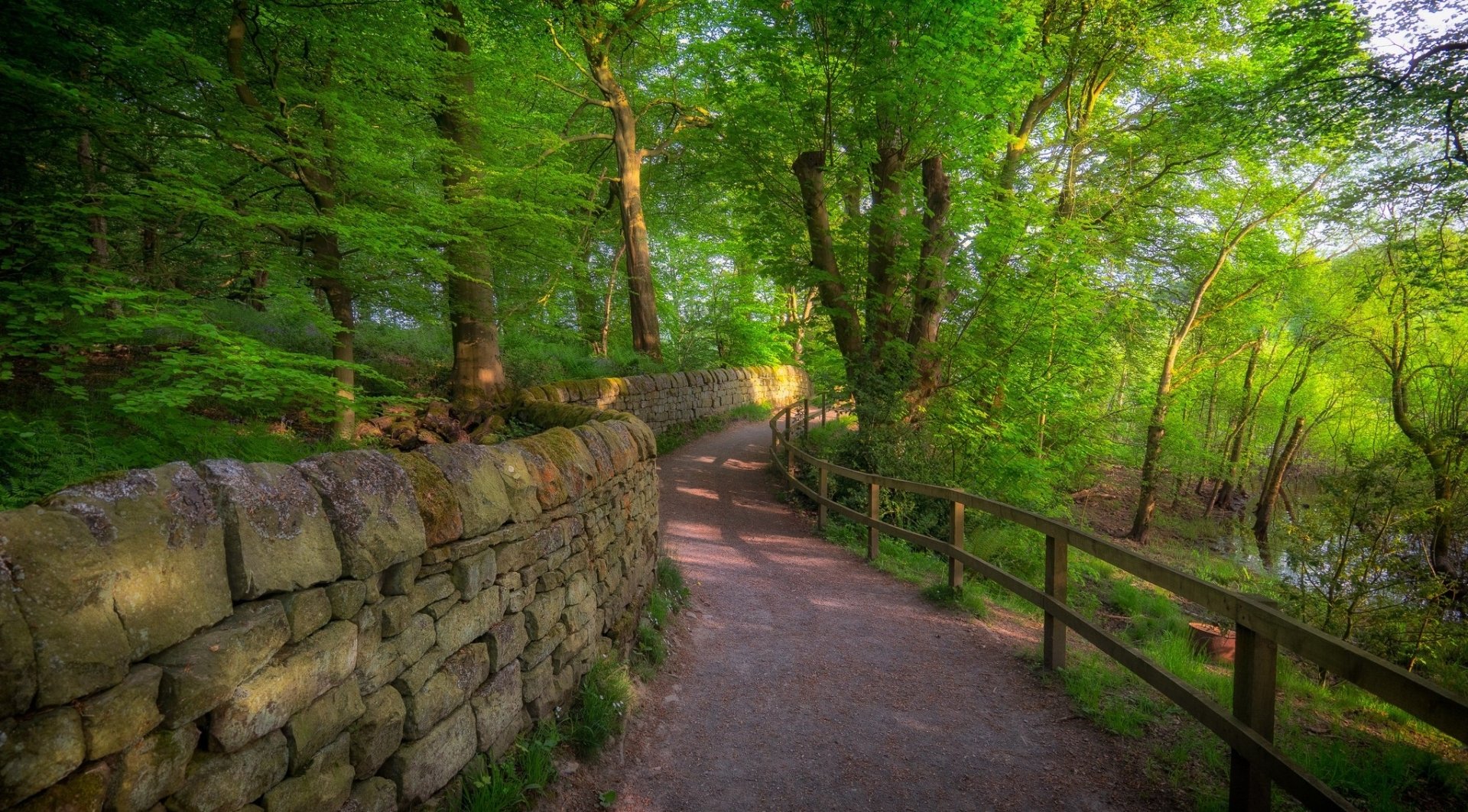 Serene Stone Pathway: Man-Made Trail Through Lush Green Forest HD