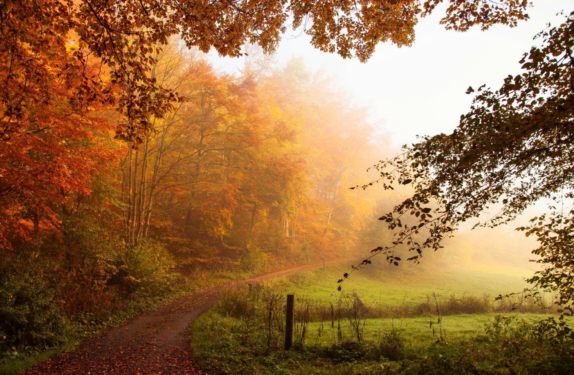 Serene Autumn Pathway in Nature HD Wallpaper | 2048x1340 | Wallpaper Abyss