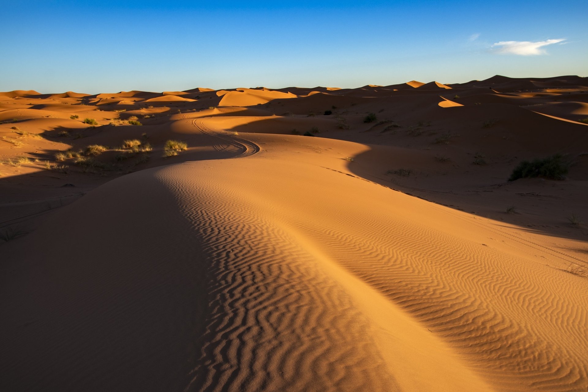 Golden Desert Dunes HD Wallpaper: Majestic Sandscape Landscape