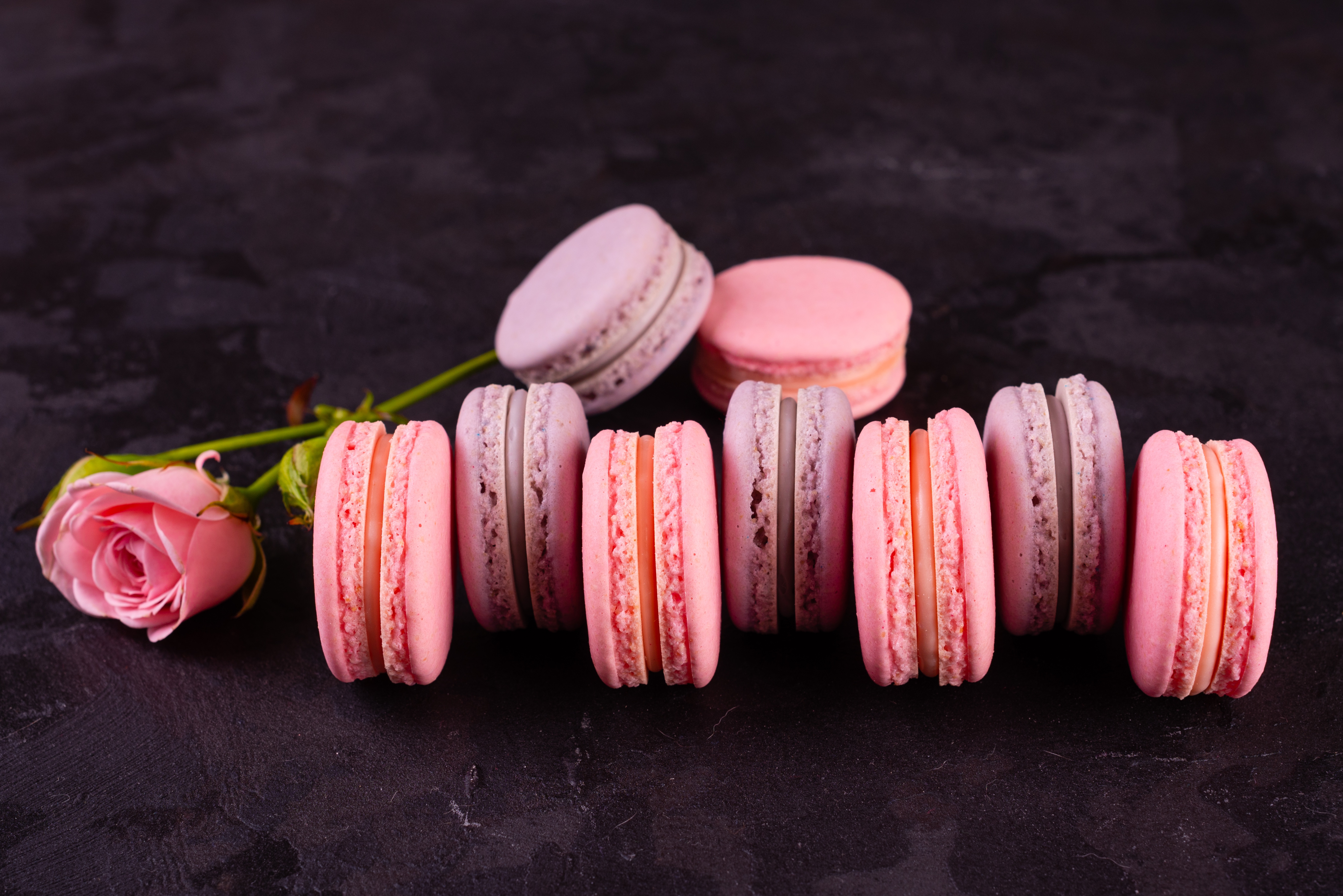 Download Rose Still Life Sweets Food Macaron 4k Ultra HD Wallpaper