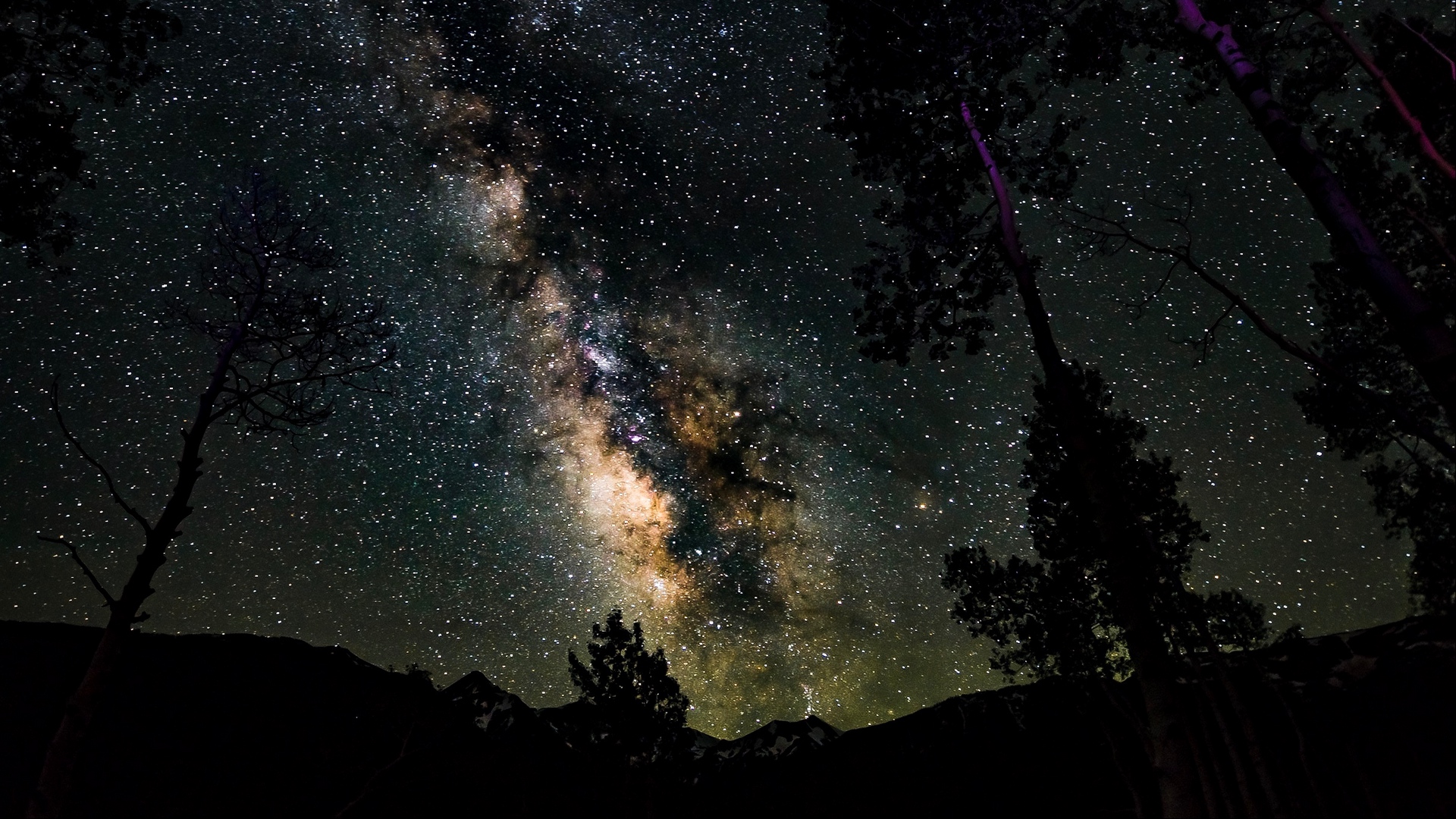 Stunning HD Milky Way Nightscape: Stars Illuminating Nature’s Majesty