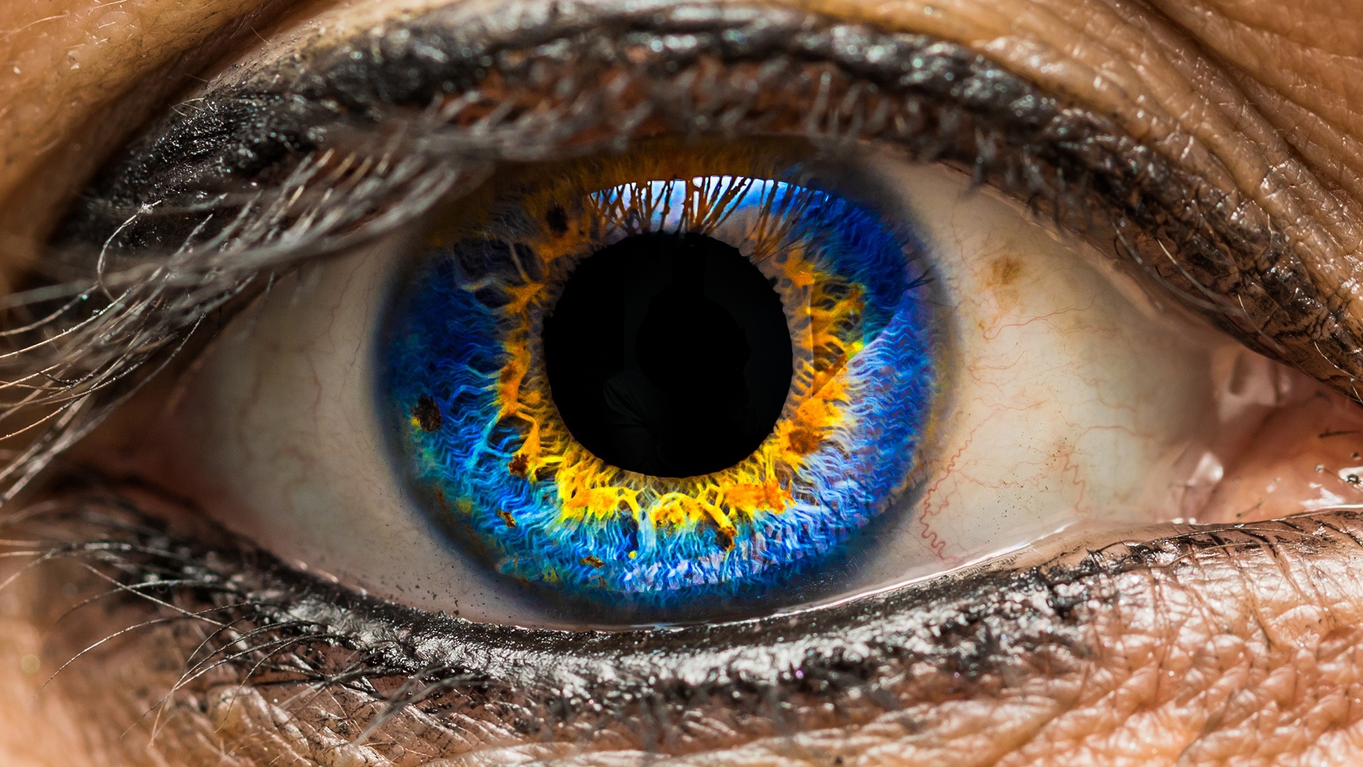 Download Woman Eye HD Wallpaper