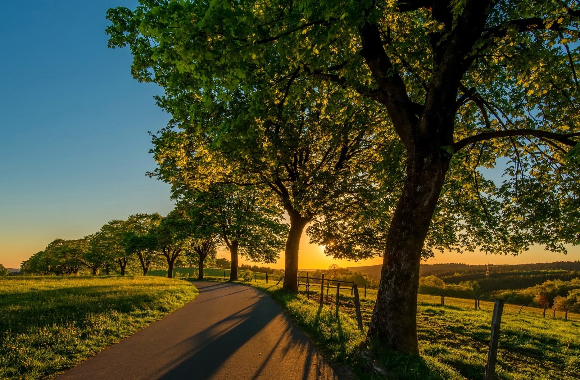 Sunlit Pathway: A Stunning HD Roadscape Through Nature | 2048x1344 ...