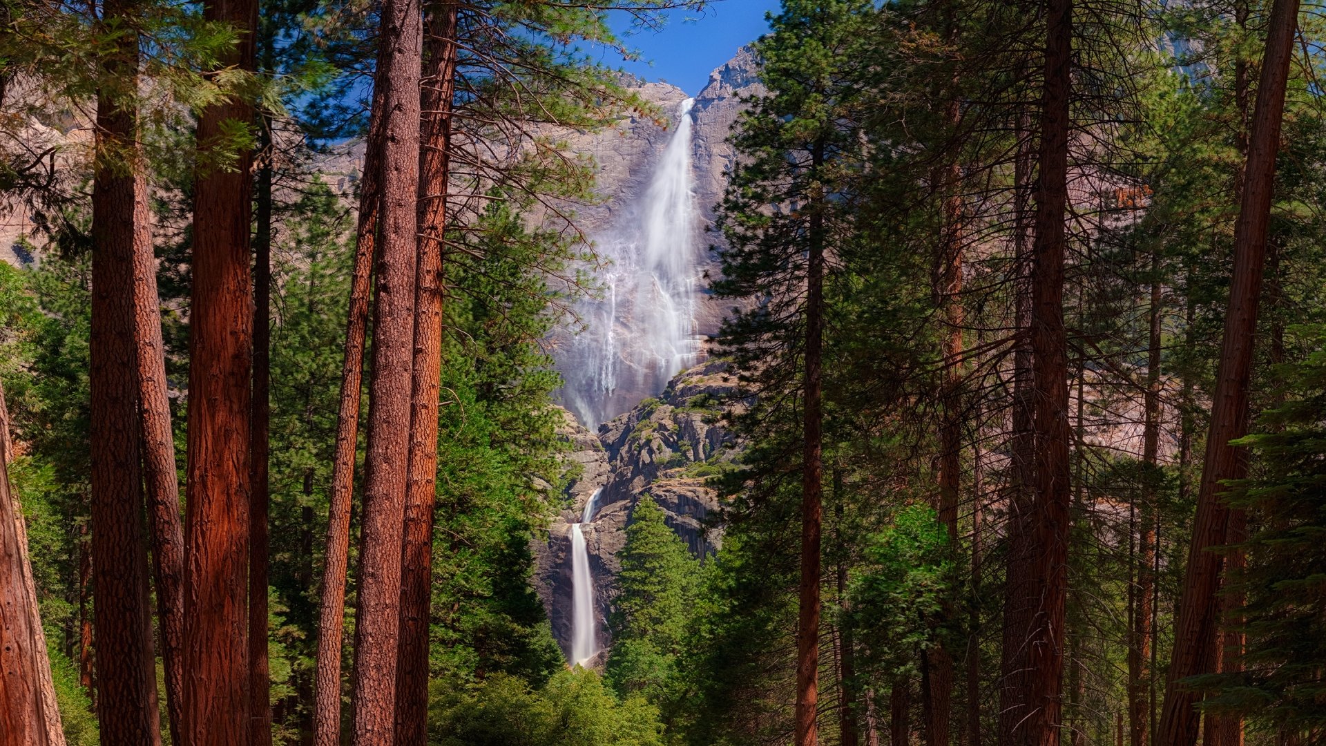 Majestic Waterfall Cascading Over Forested Cliffs – Stunning HD Nature ...