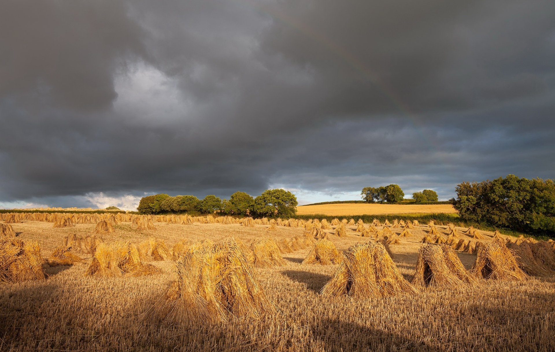 Download Nature Haystack Summer Field HD Wallpaper