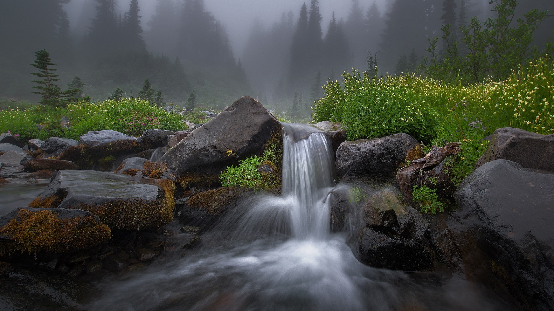 Serene Stream Flow: HD Nature Wallpaper