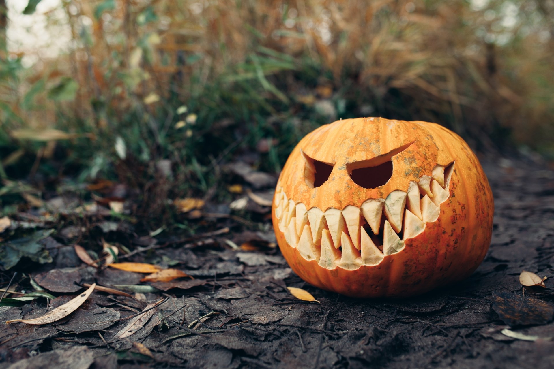 5K Ultra HD Halloween Pumpkin — Spooky Fall Holiday Wallpaper ...