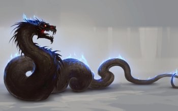 Fantasy Dragon Pfp