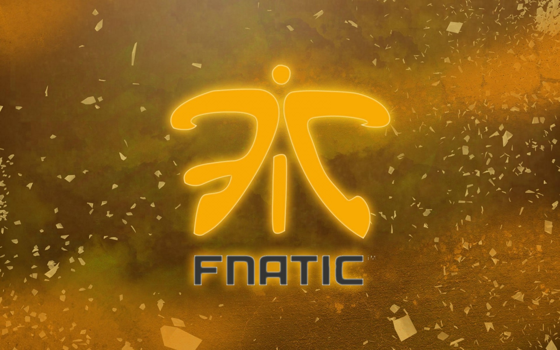 Fnatic HD Wallpaper