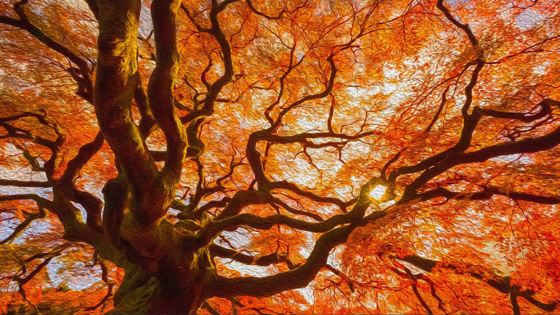 November Tree - Oil on Canvas by Manufan63