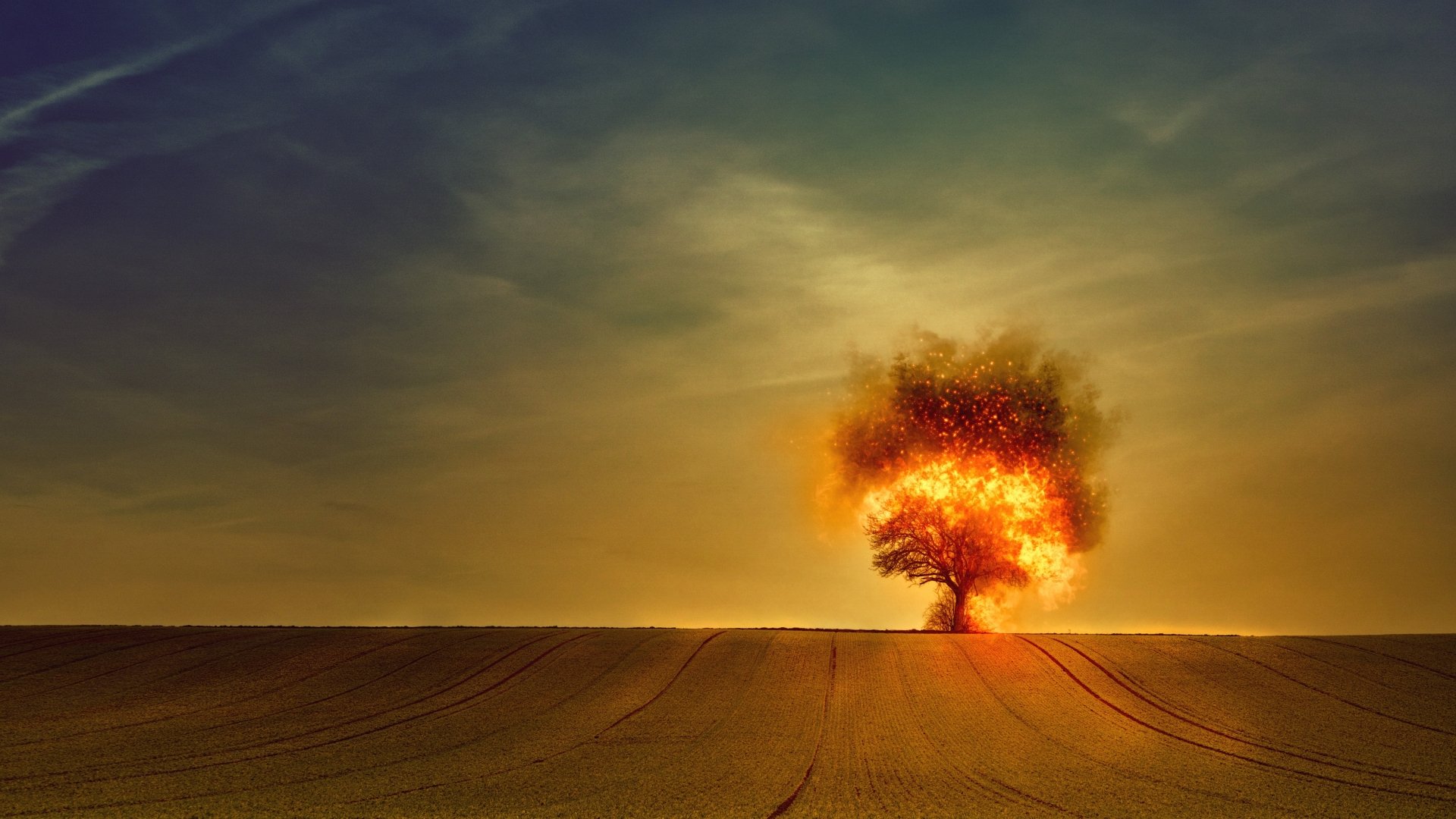 Burning Tree in Golden Field — 5K Ultra HD Wallpaper