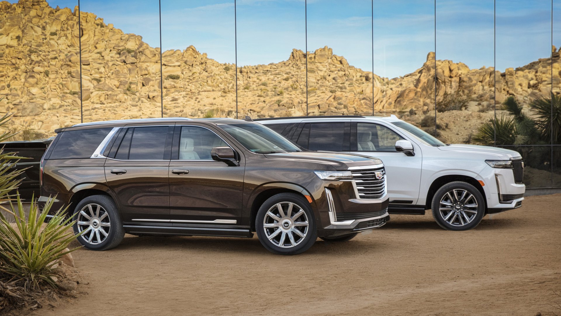 Download White Car SUV Car Cadillac Vehicle Cadillac Escalade HD Wallpaper