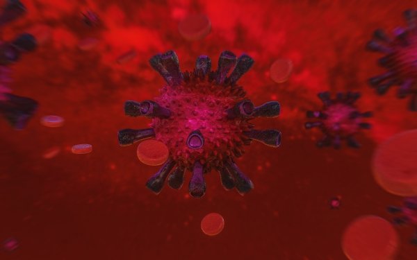 Virus HD Wallpaper | Background Image | 2560x1632 | ID:1136744 ...