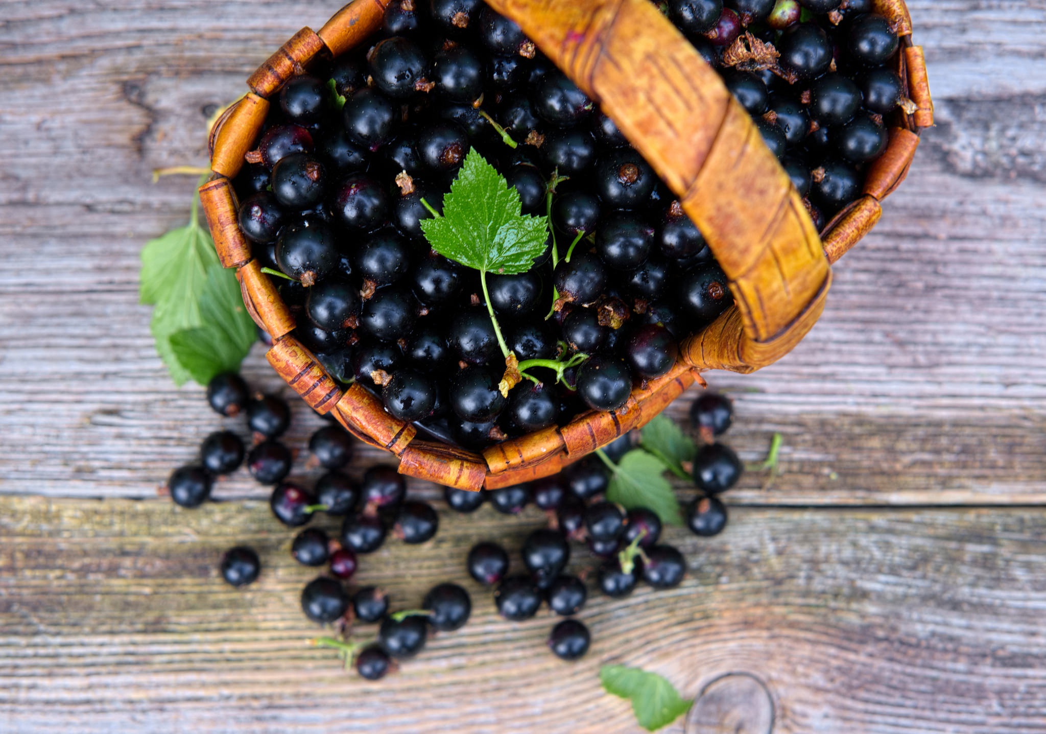 Download Food Currants HD Wallpaper