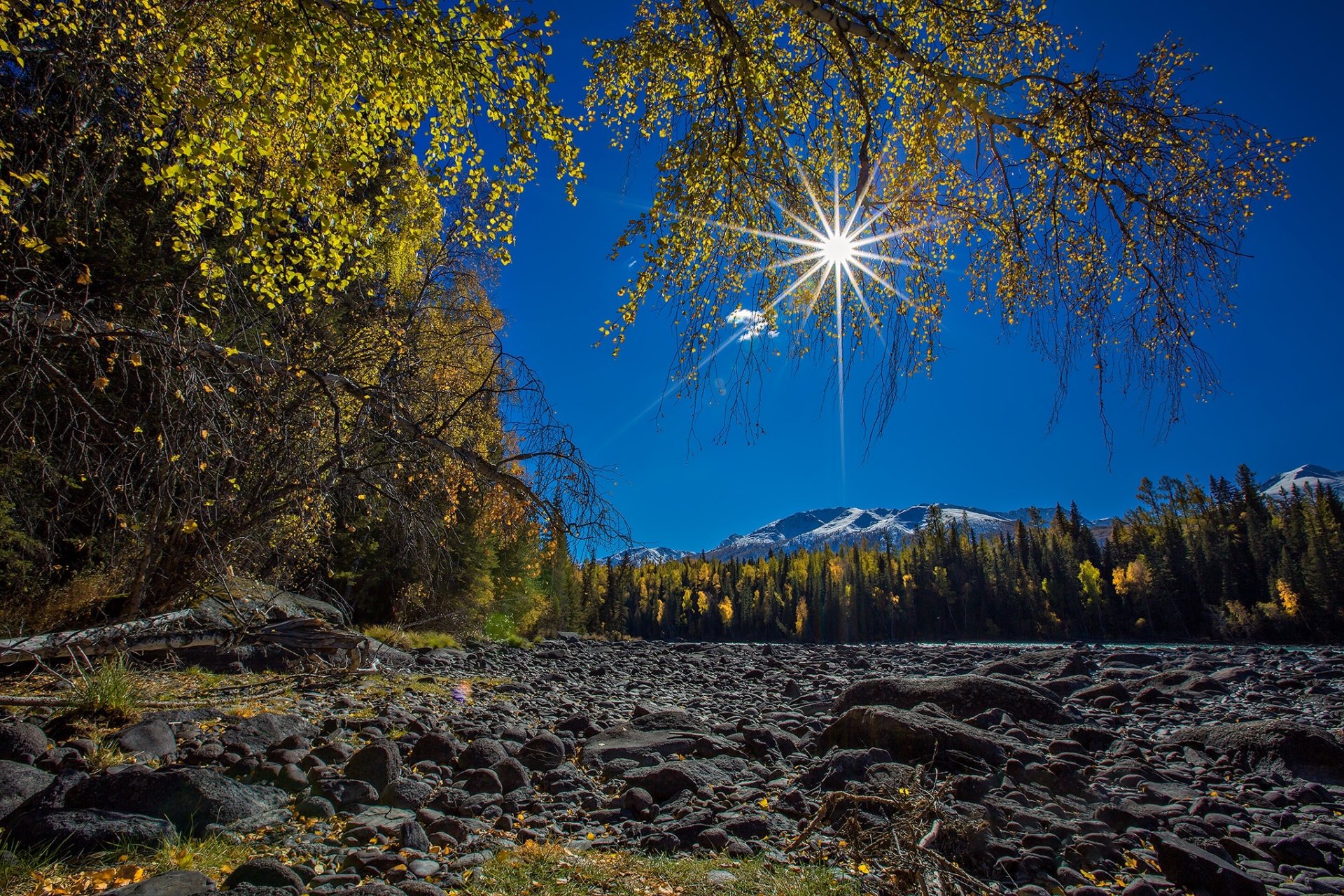 Sunlit Autumn Stone Bed Beneath Golden Trees – HD Nature Wallpaper