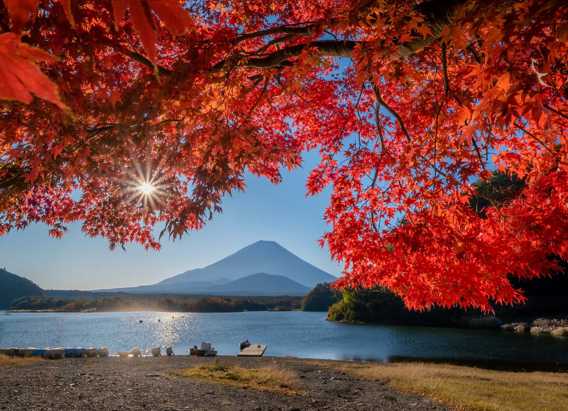Download Japan Lake Leaf Fall Nature Mount Fuji HD Wallpaper