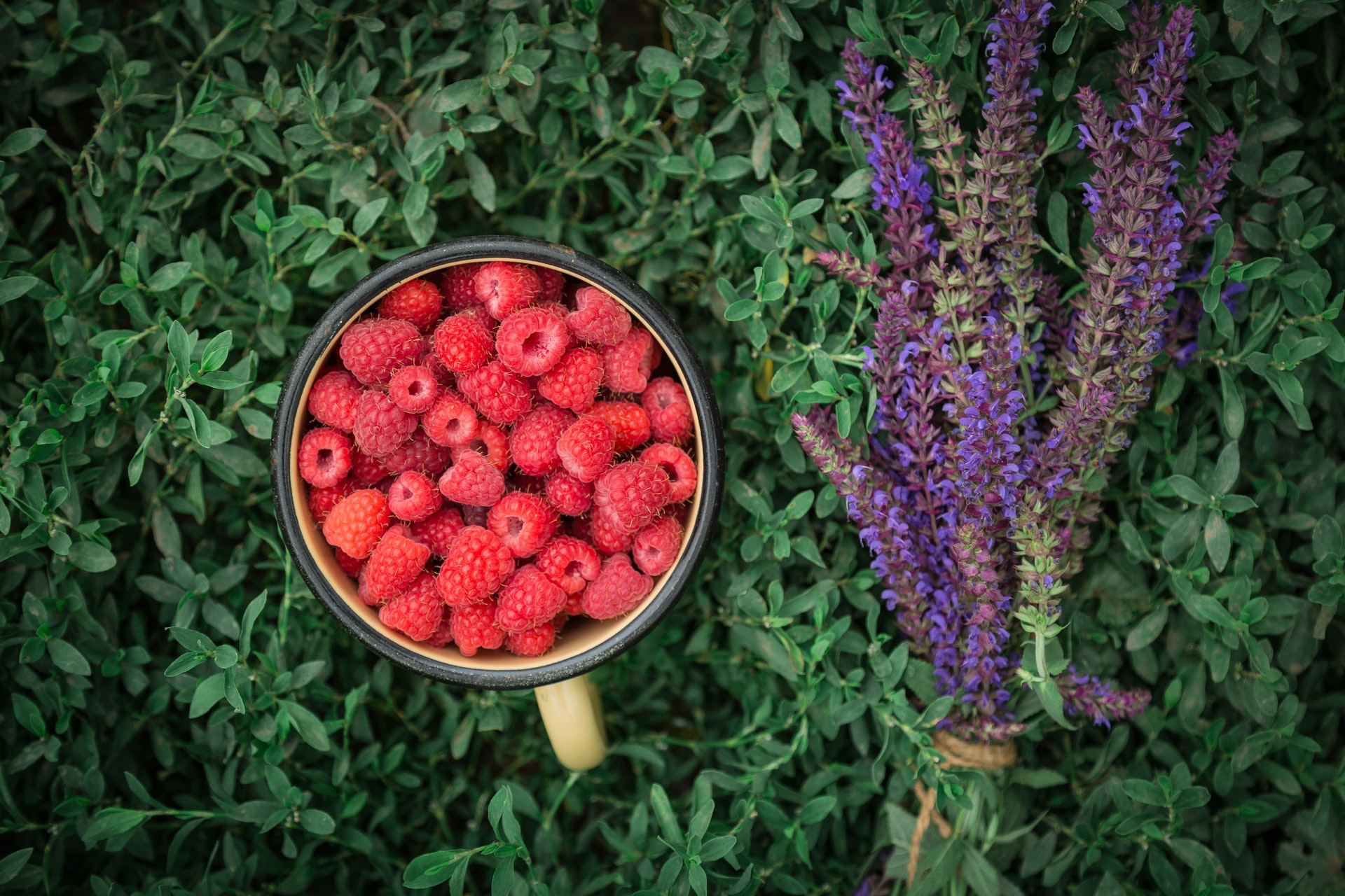 Download Berry Flower Food Raspberry HD Wallpaper