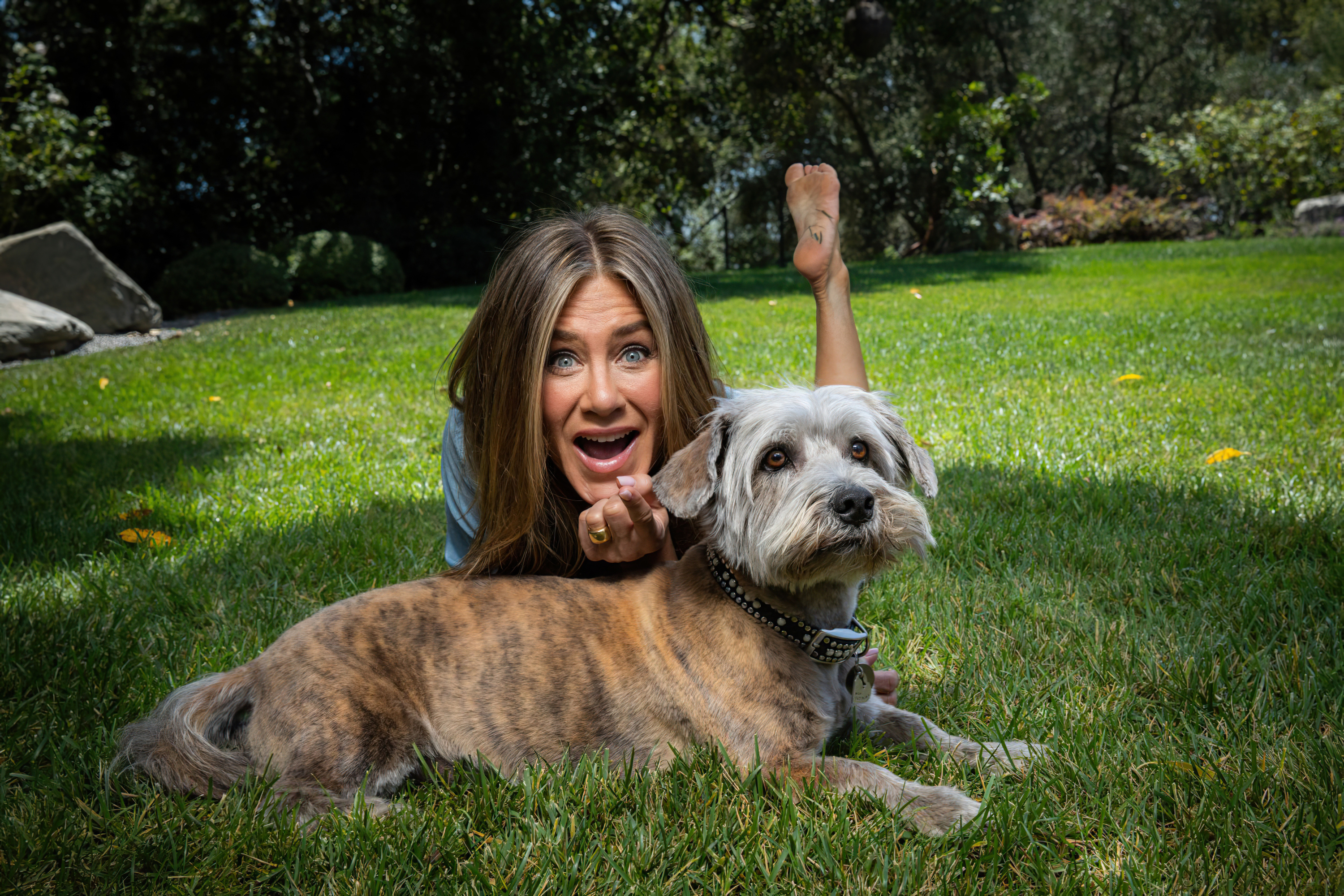 Download American Blue Eyes Dog Actress Celebrity Jennifer Aniston HD ...
