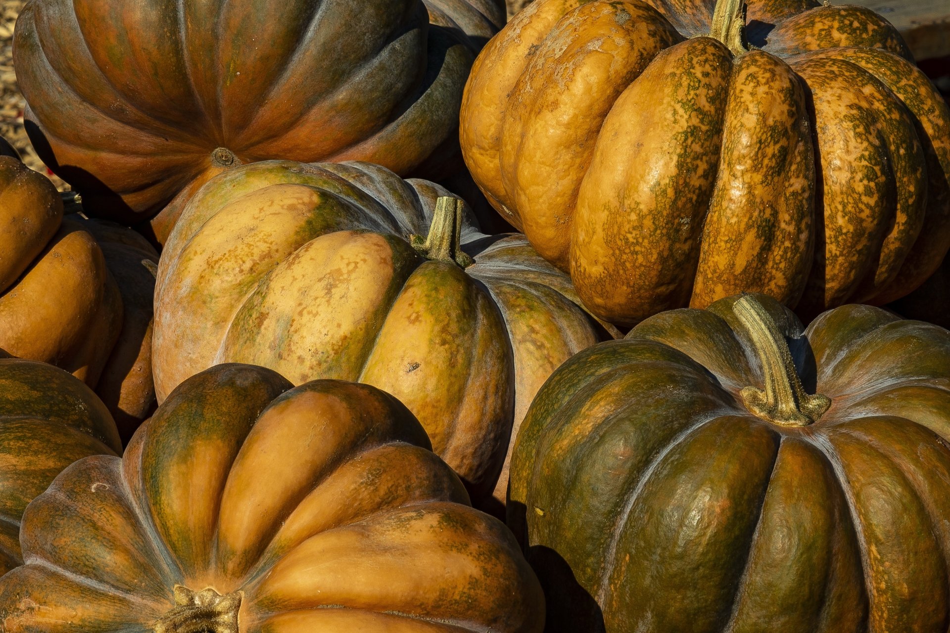Download Food Pumpkin 4k Ultra HD Wallpaper