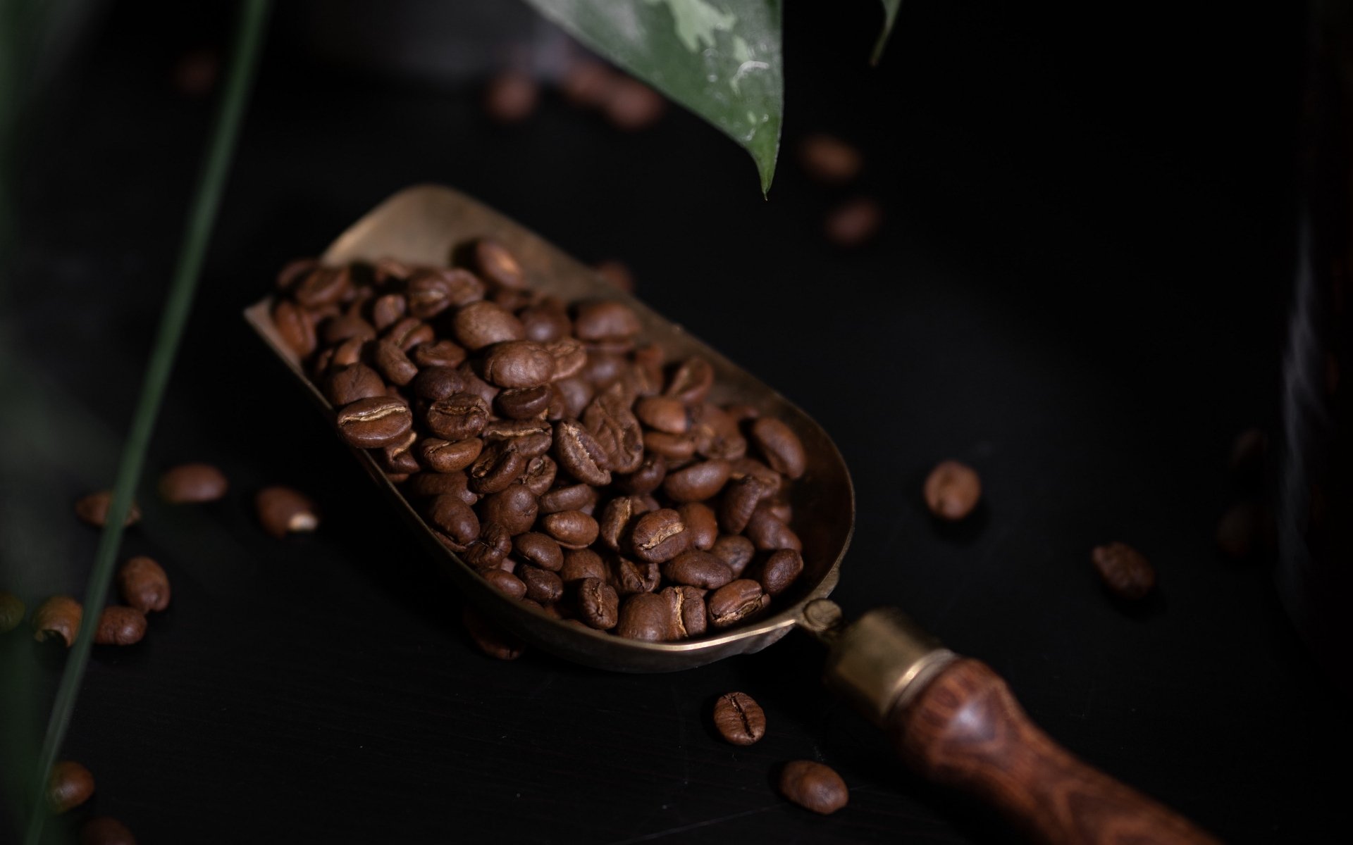 4K Ultra HD: Roasted Coffee Beans Wallpaper | 3840x2400 | Wallpaper Abyss