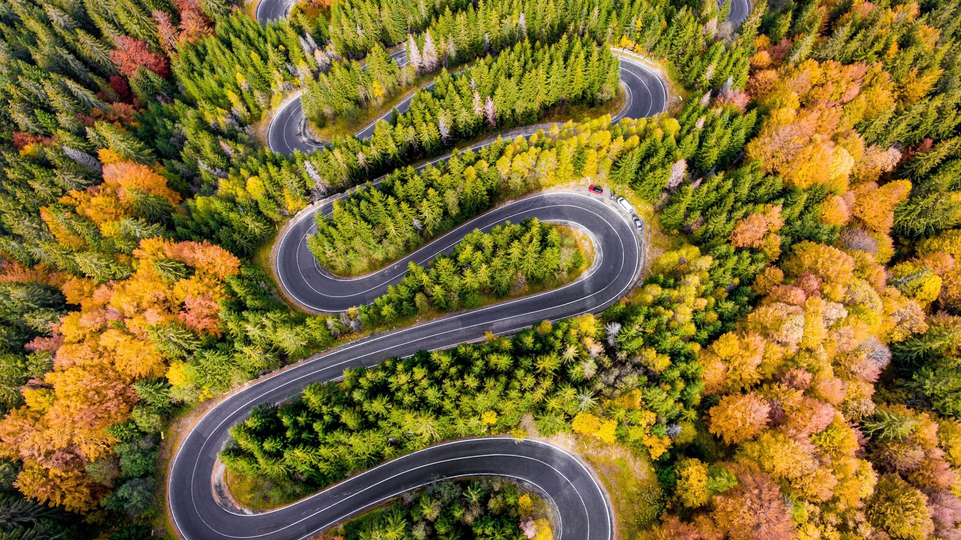 Download Fall Road Forest Photography Aerial 4k Ultra HD Wallpaper