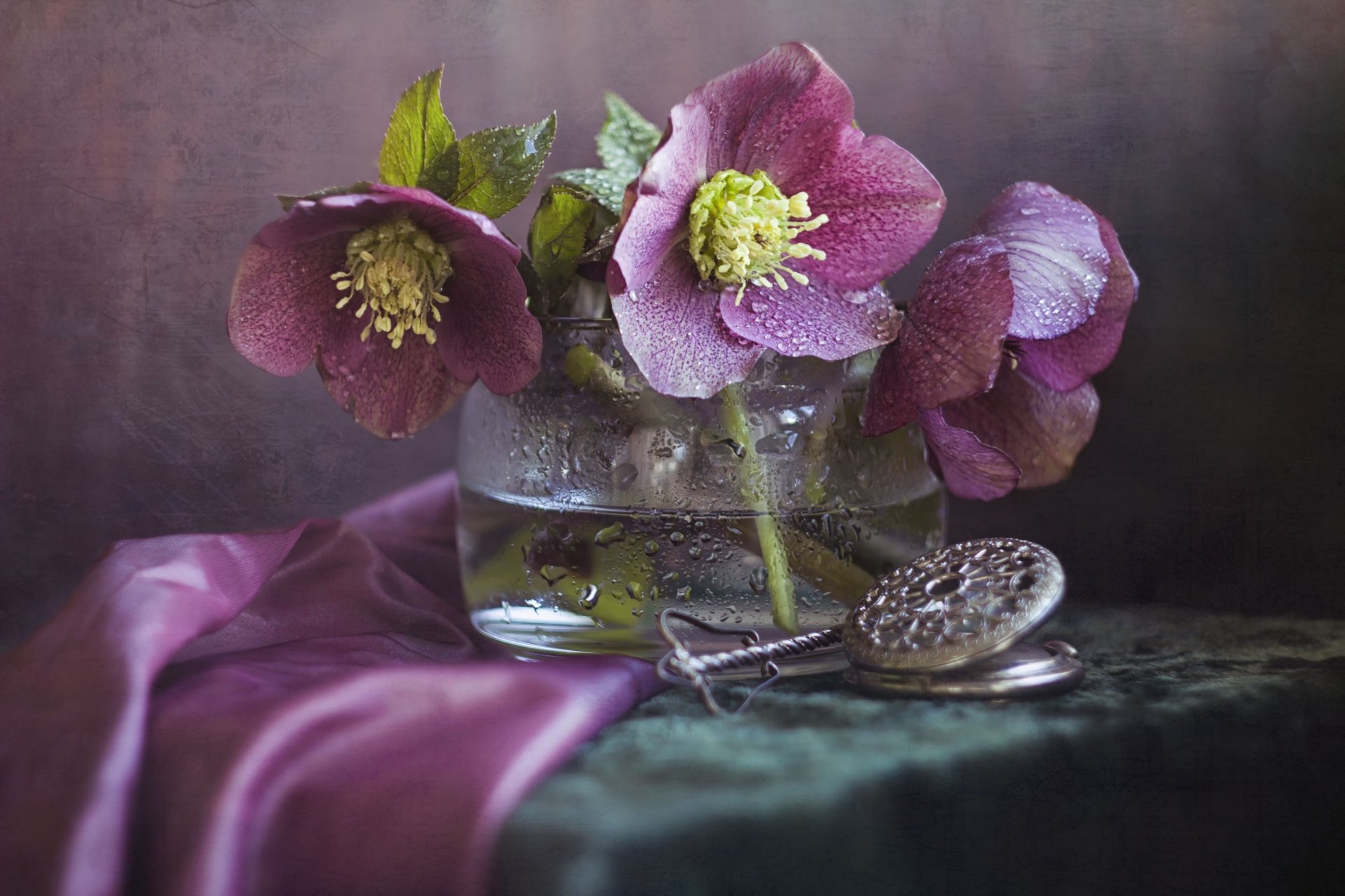 Download Pocket Watch Flower Hellebore Bouquet Photography Still Life ...