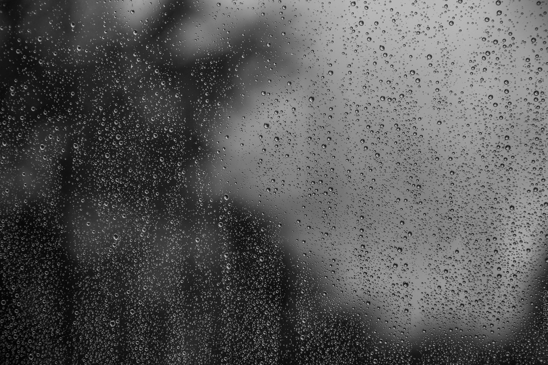 Download Photography Raindrops HD Wallpaper | 2250x1500 | Wallpaper Abyss