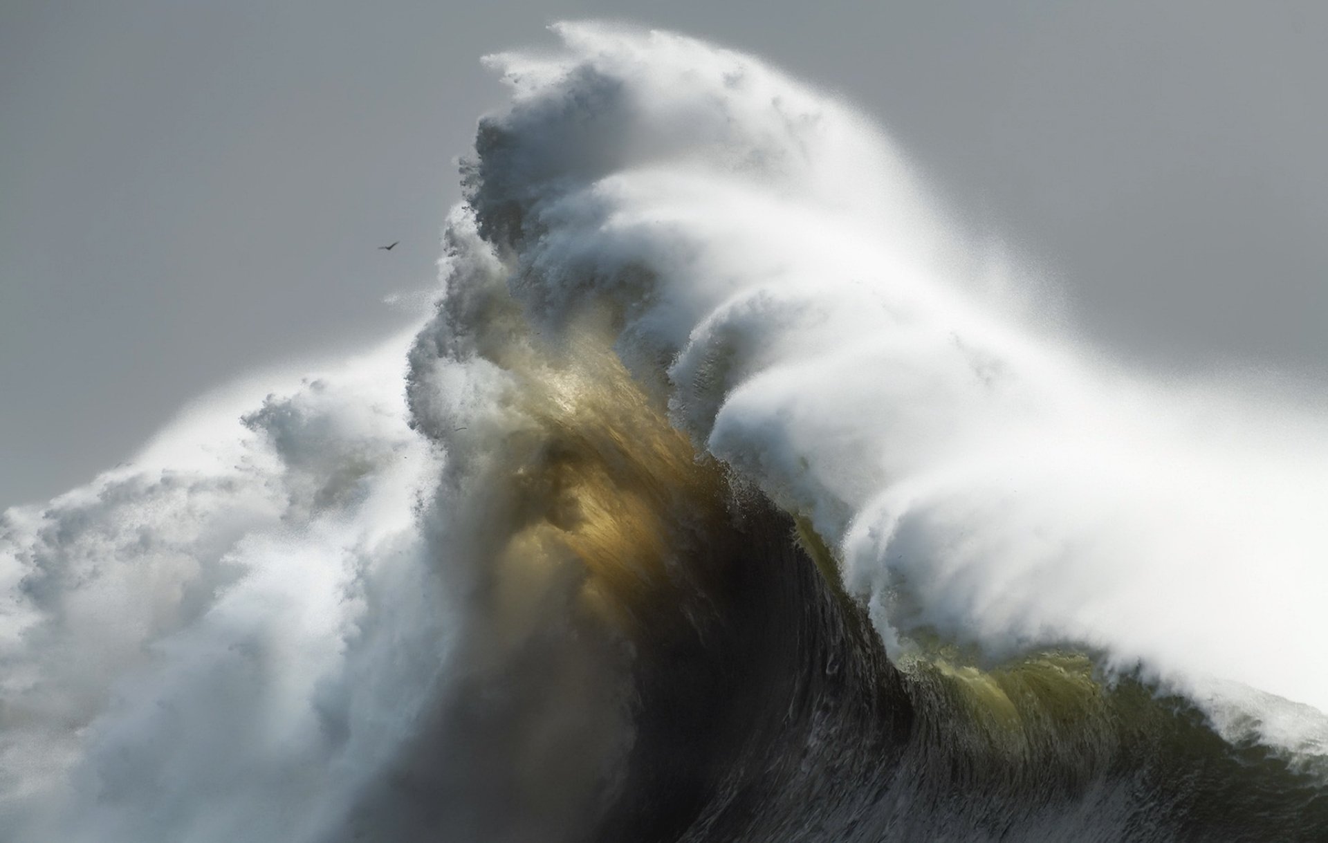 Download Nature Wave HD Wallpaper