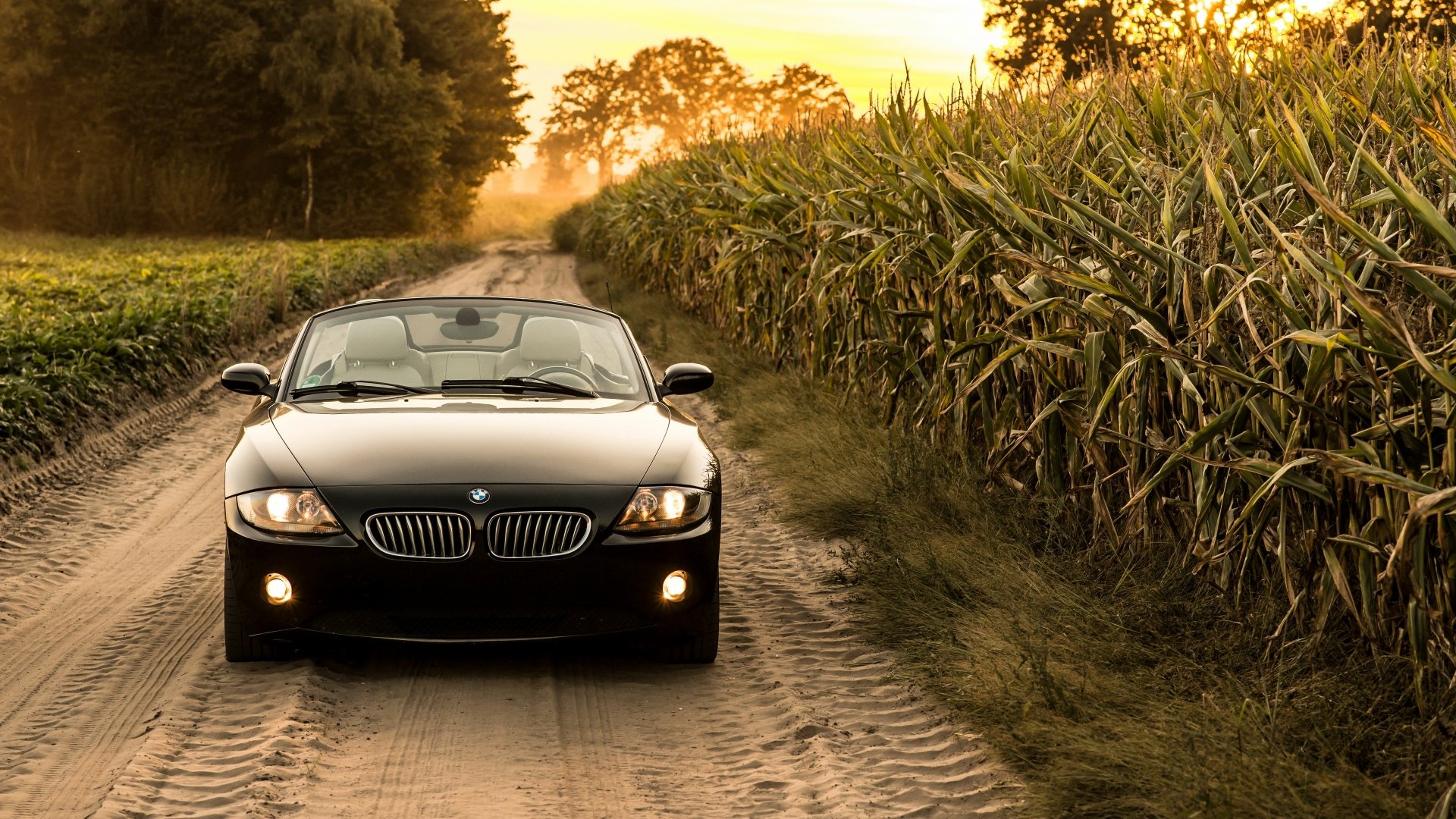 Download BMW Vehicle BMW Z4 4k Ultra HD Wallpaper by Floris Oosterveld