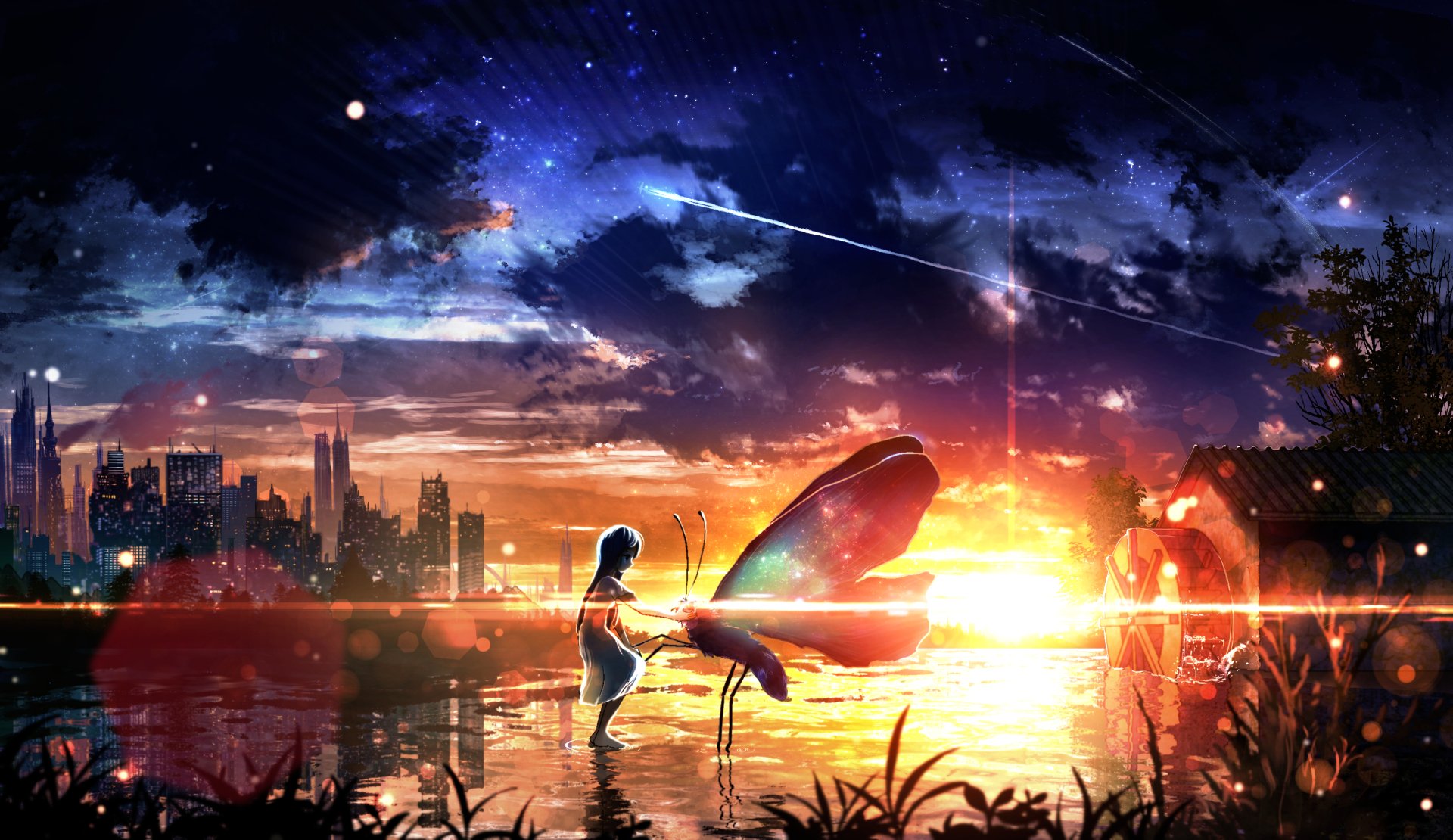 Download Sunset Starry Sky Sky Butterfly Anime Anime Sunset Sky Anime ...
