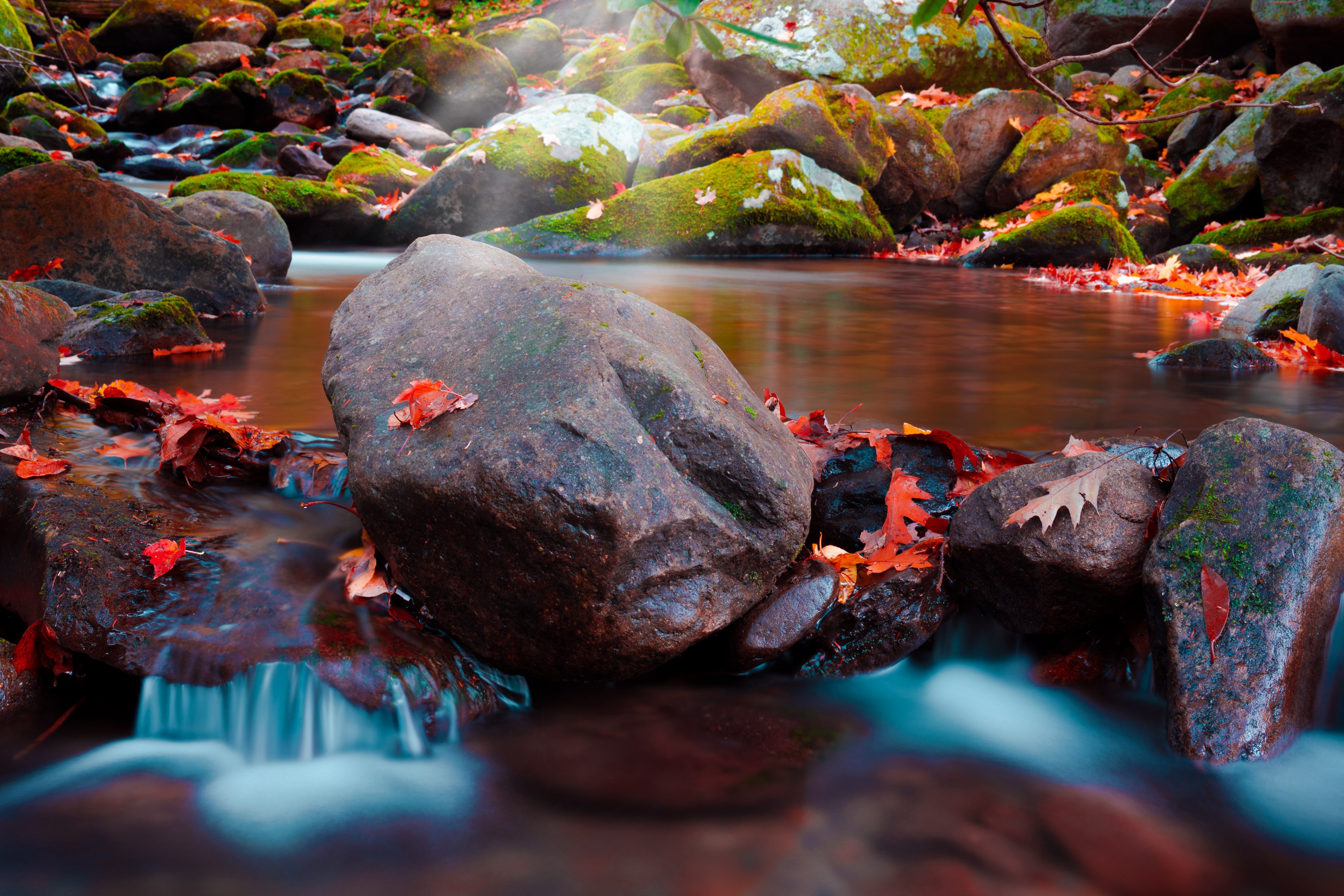 Download Fall Stone Nature Stream HD Wallpaper