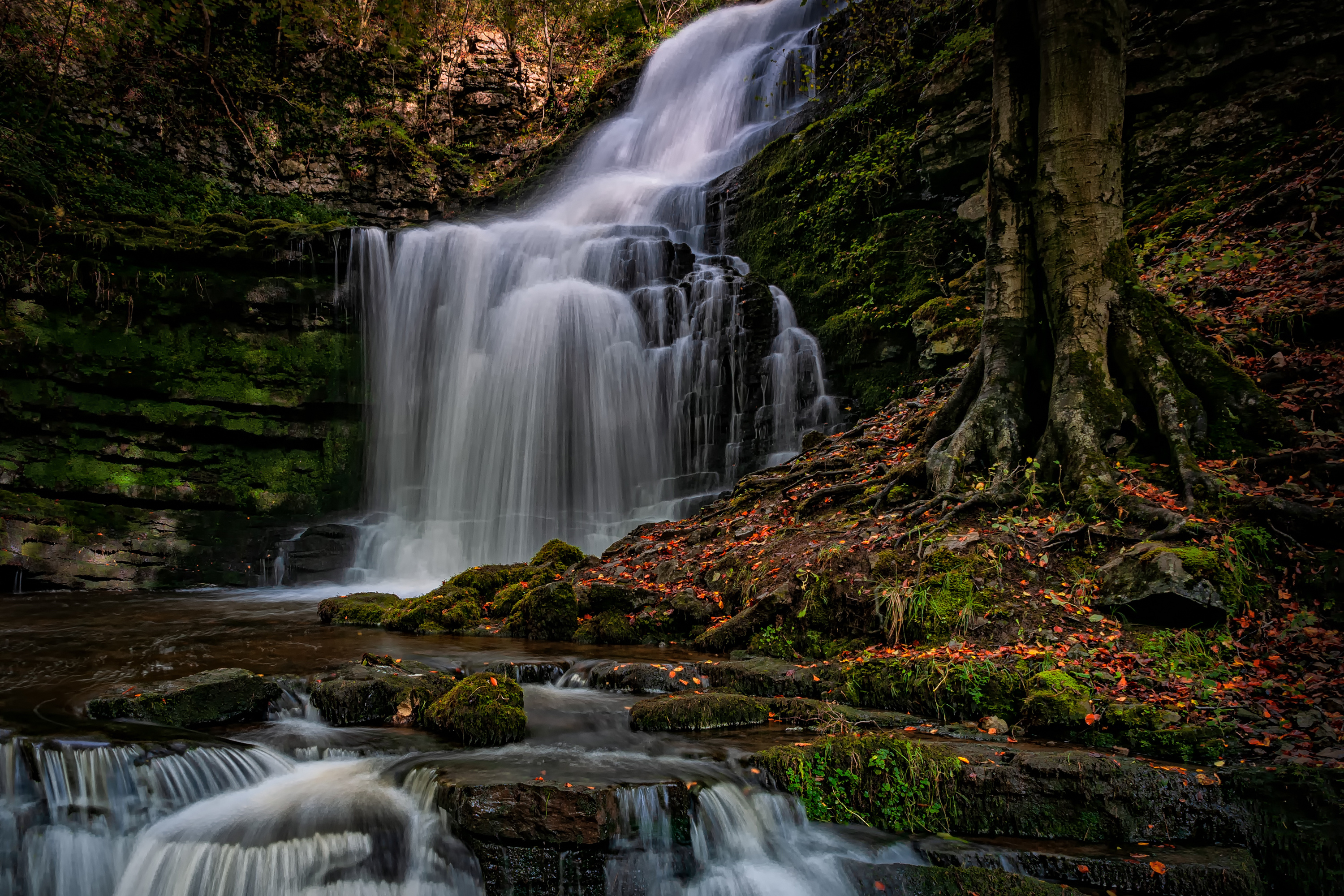 Download Fall England Nature Waterfall HD Wallpaper