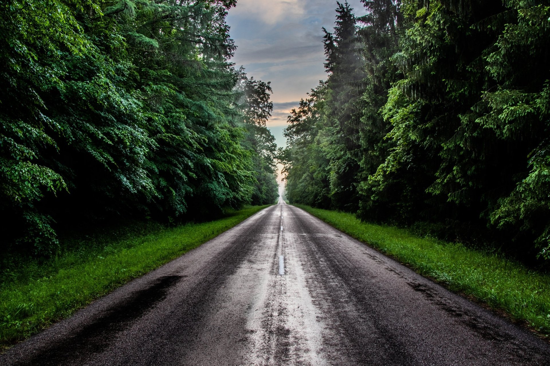 Download Nature Forest Man Made Road HD Wallpaper