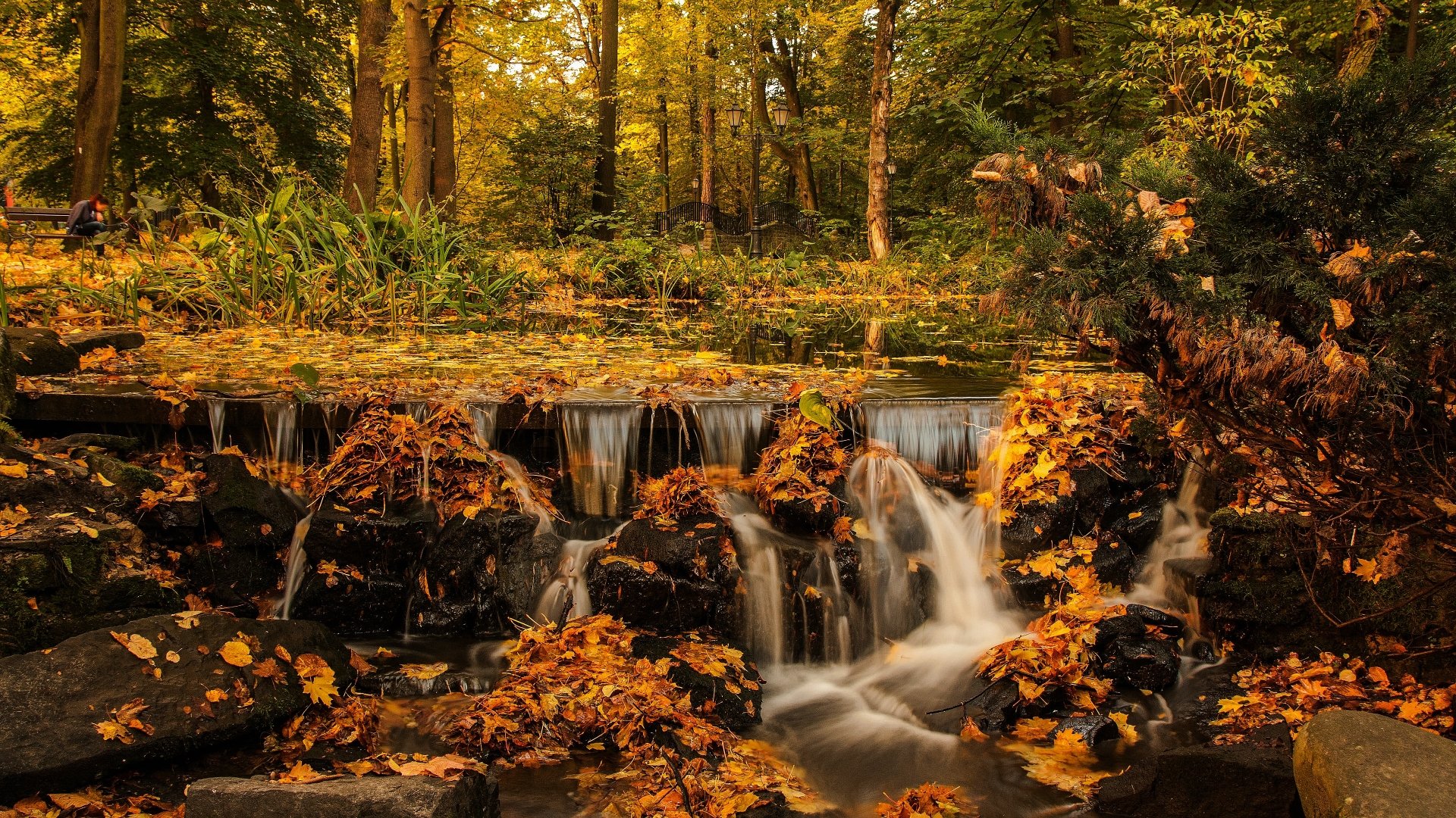 Download Stream Fall Nature Waterfall 4k Ultra HD Wallpaper