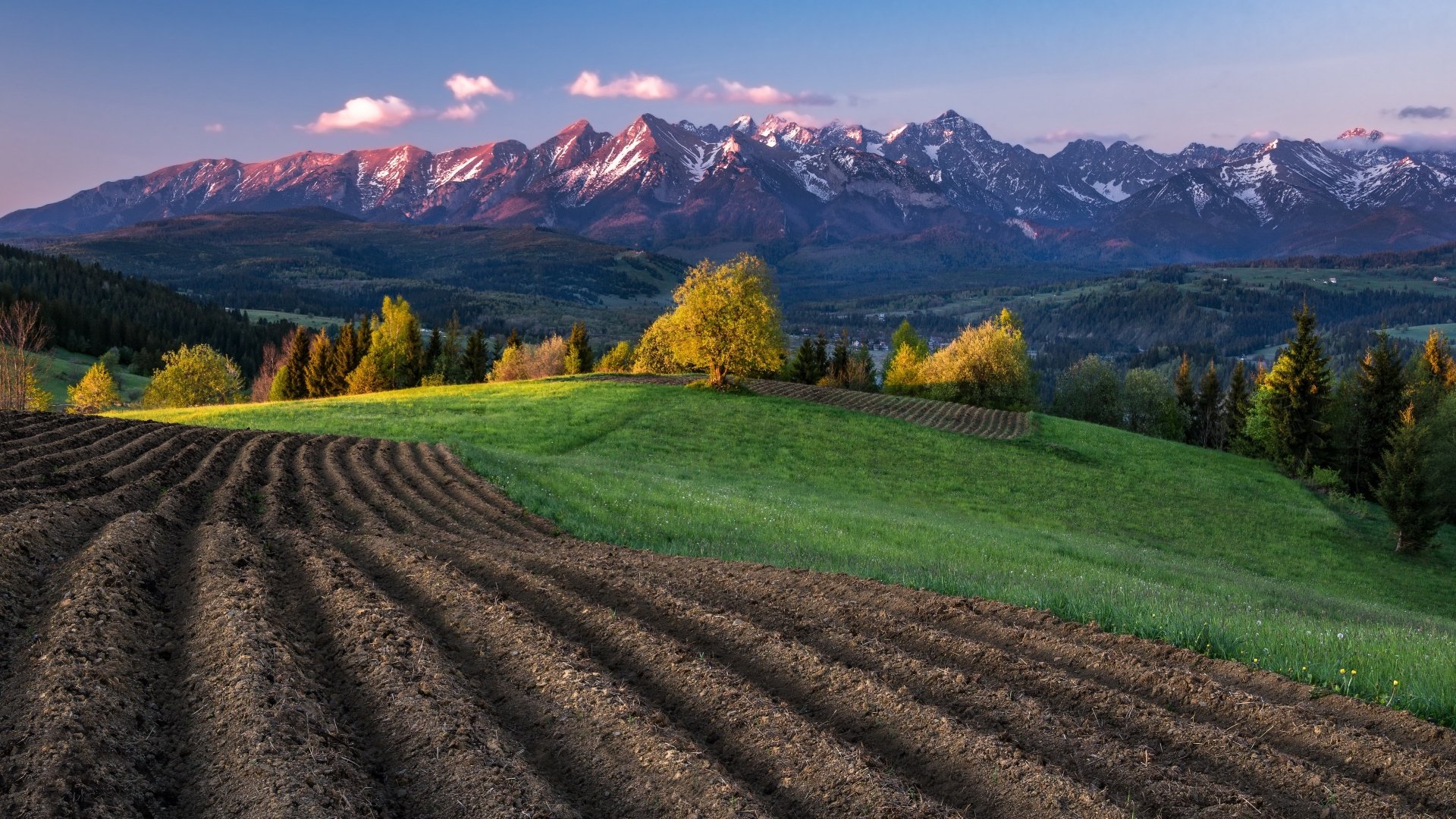 Download Mountain Nature Field 4k Ultra HD Wallpaper