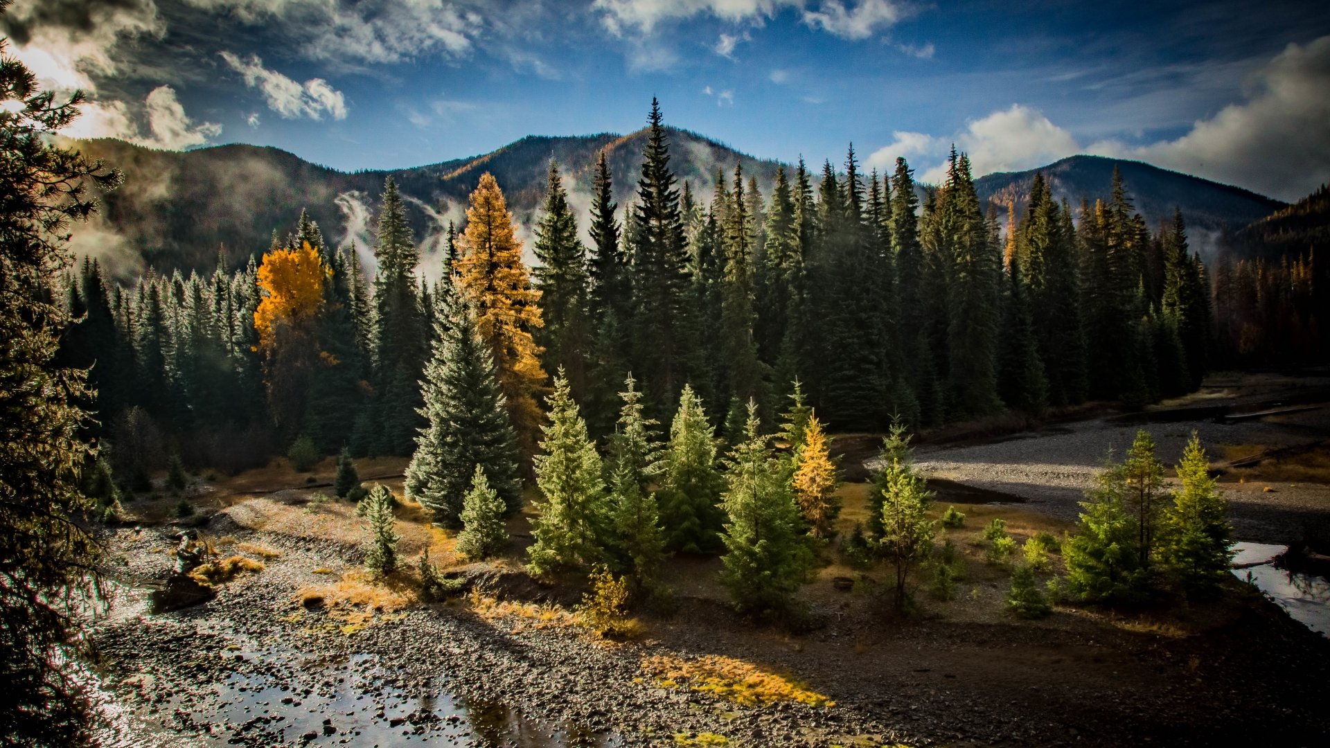 4K Ultra HD: Alpine River & Ancient Pine Forest — Epic Nature Landscape ...