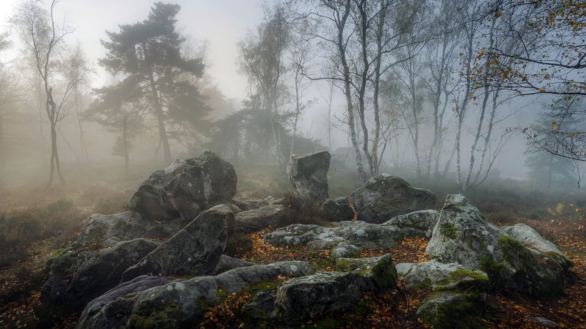 Download Nature Fog 4k Ultra HD Wallpaper | 3840x2160 | Wallpaper Abyss