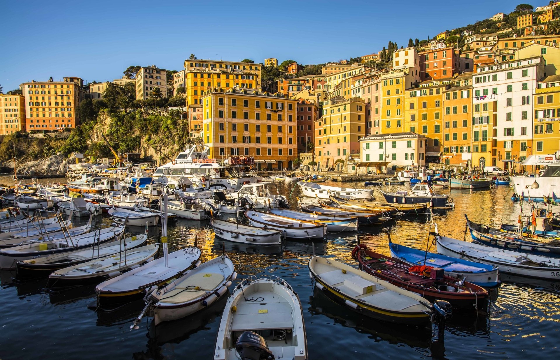 Download Camogli Liguria Italy Boat House Man Made Harbor HD Wallpaper