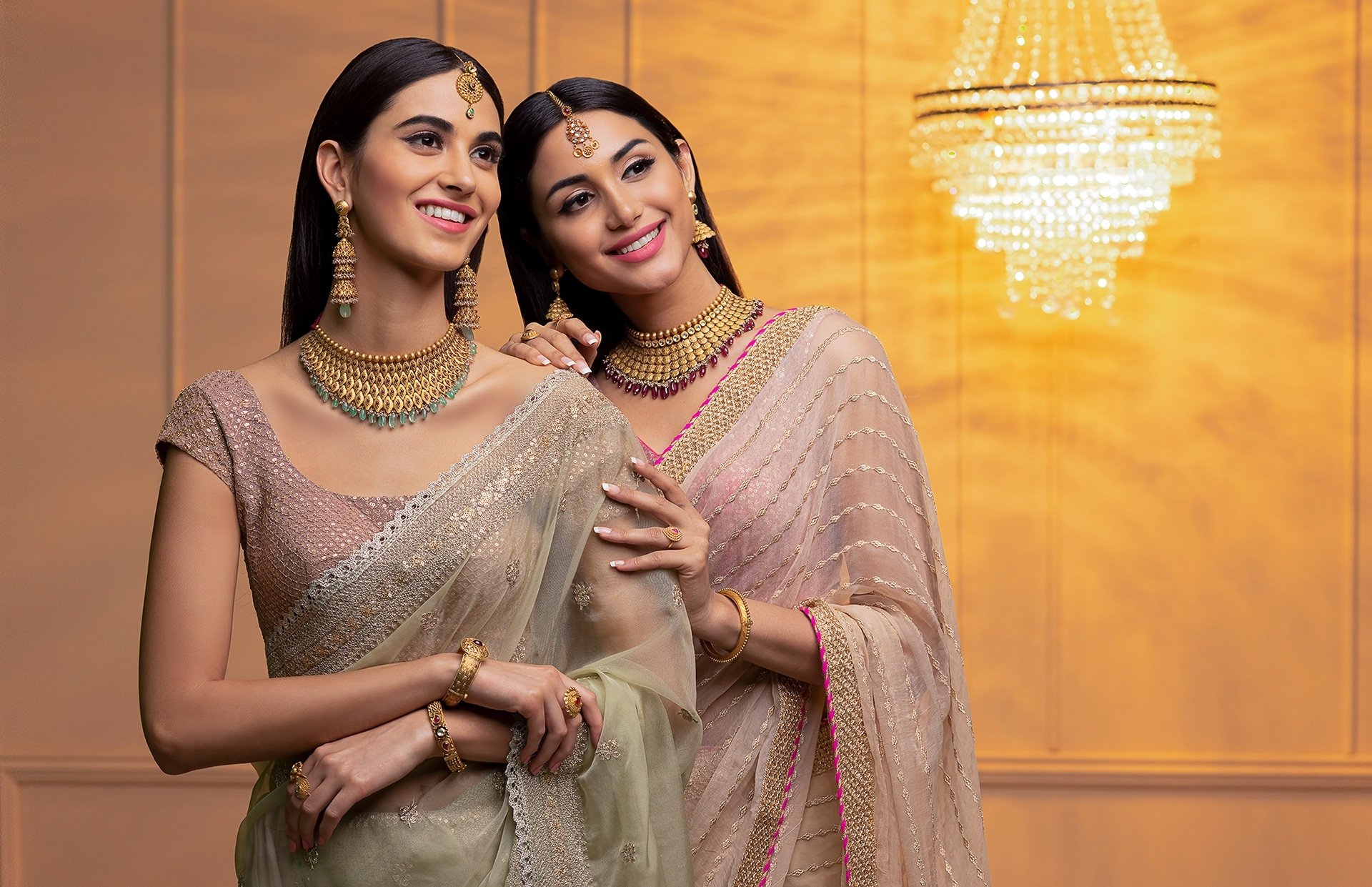 Download Black Hair Necklace Earrings Saree Jewelry Indian Smile Woman ...