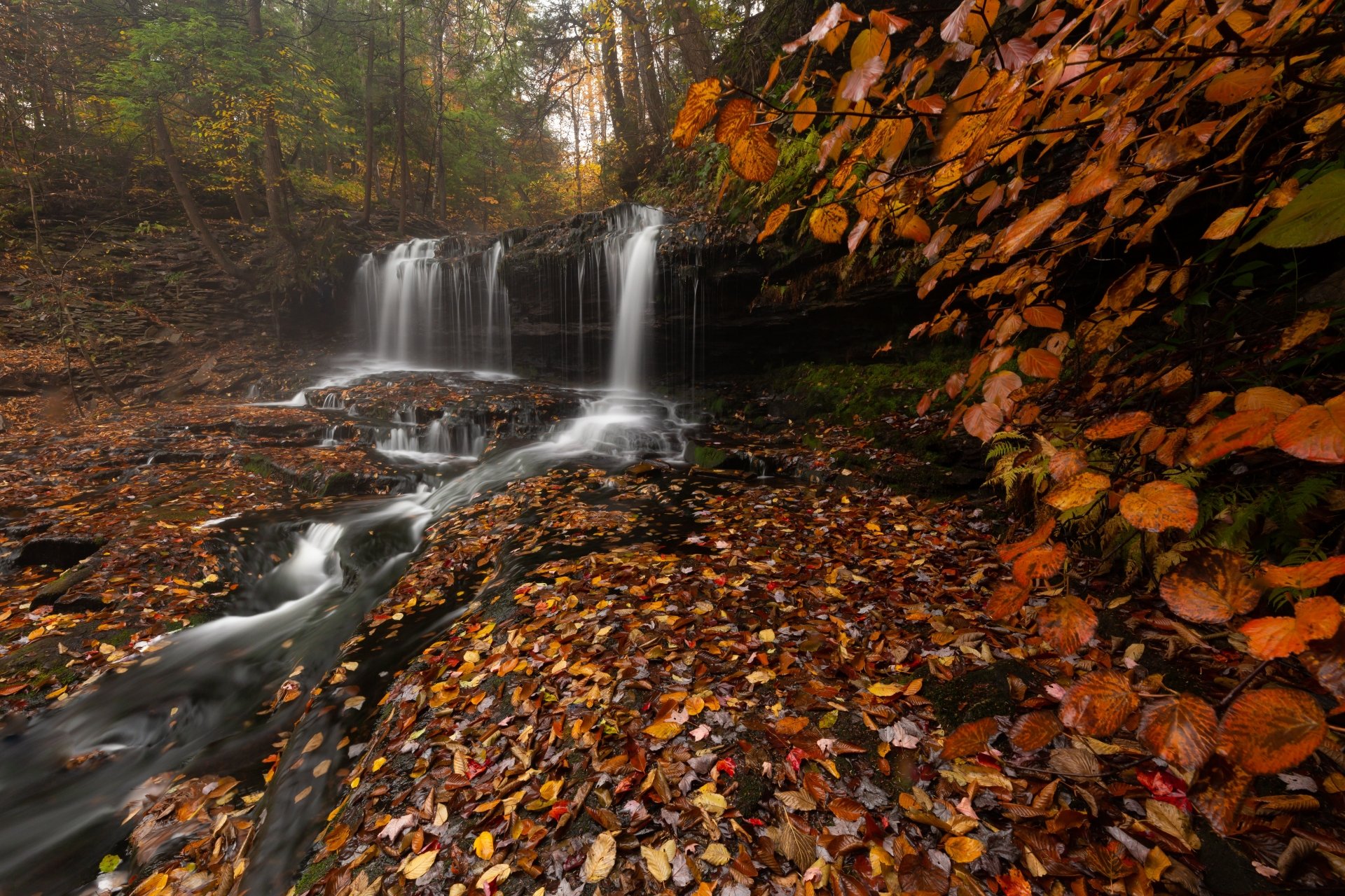 4K Ultra HD Fall Waterfall in Nature’s Autumn Embrace | 5760x3840 ...