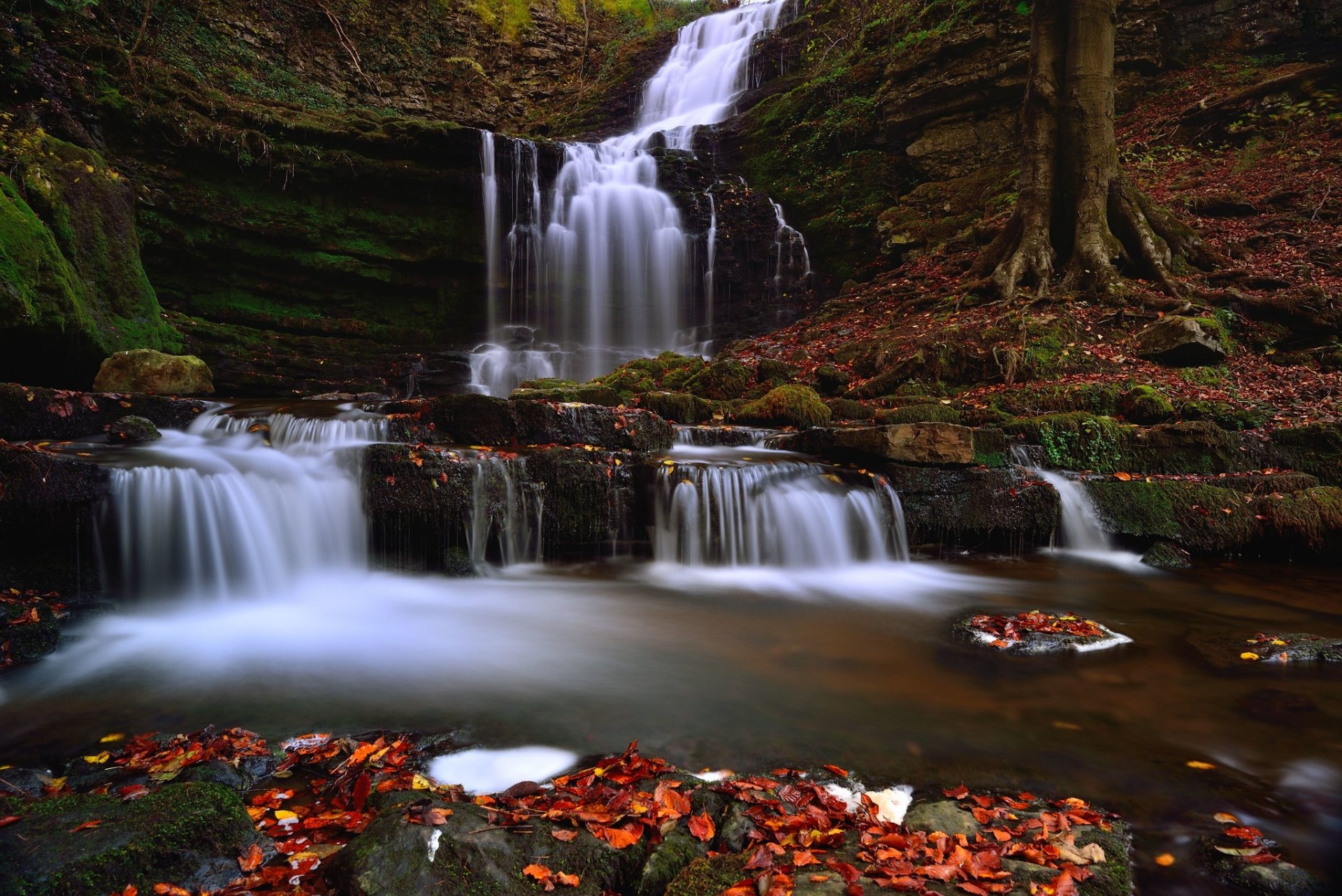 Majestic Fall Waterfall HD: Nature’s Tranquil Cascade | 2048x1367 ...