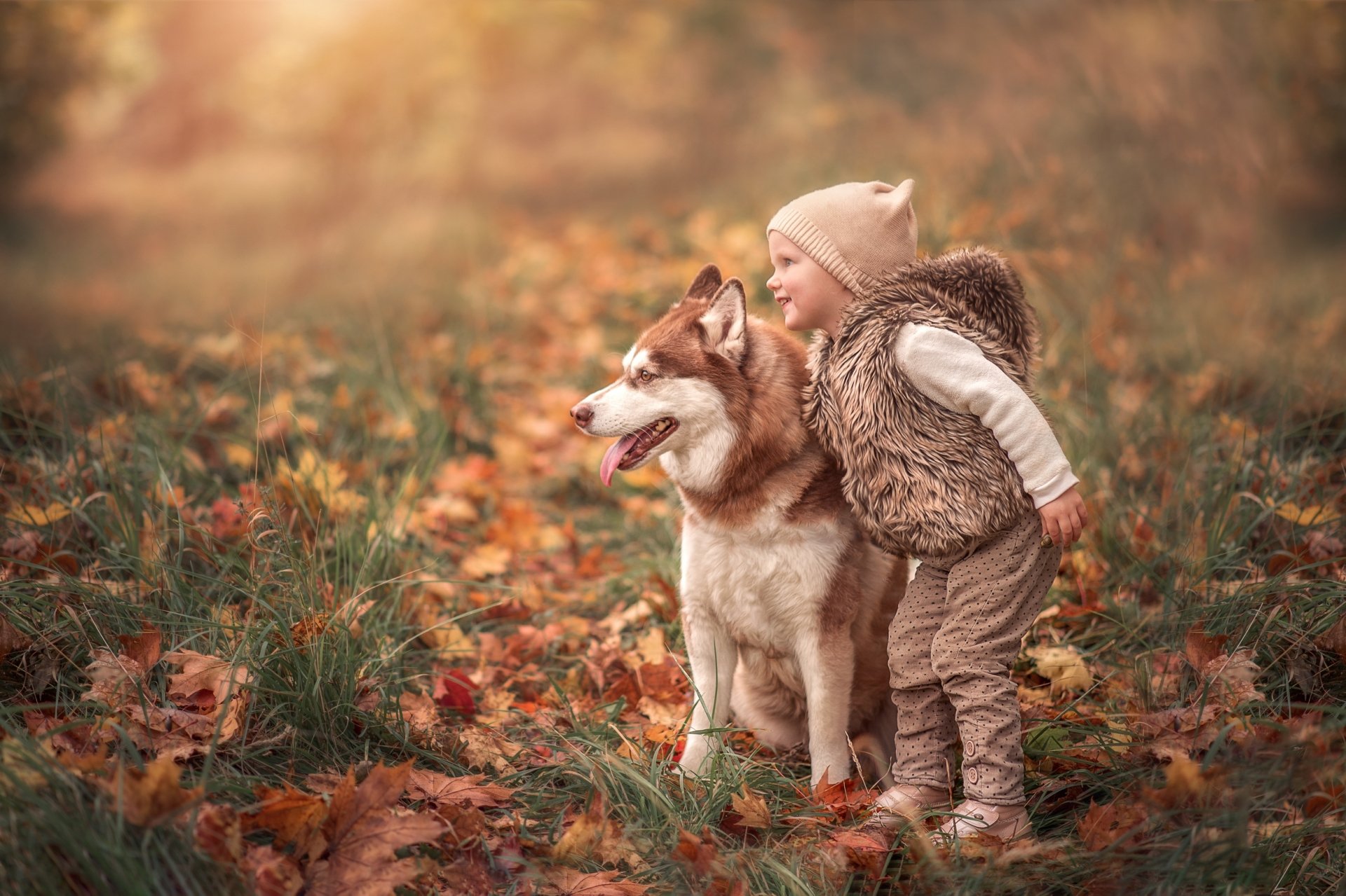 Download Dog Photography Child HD Wallpaper