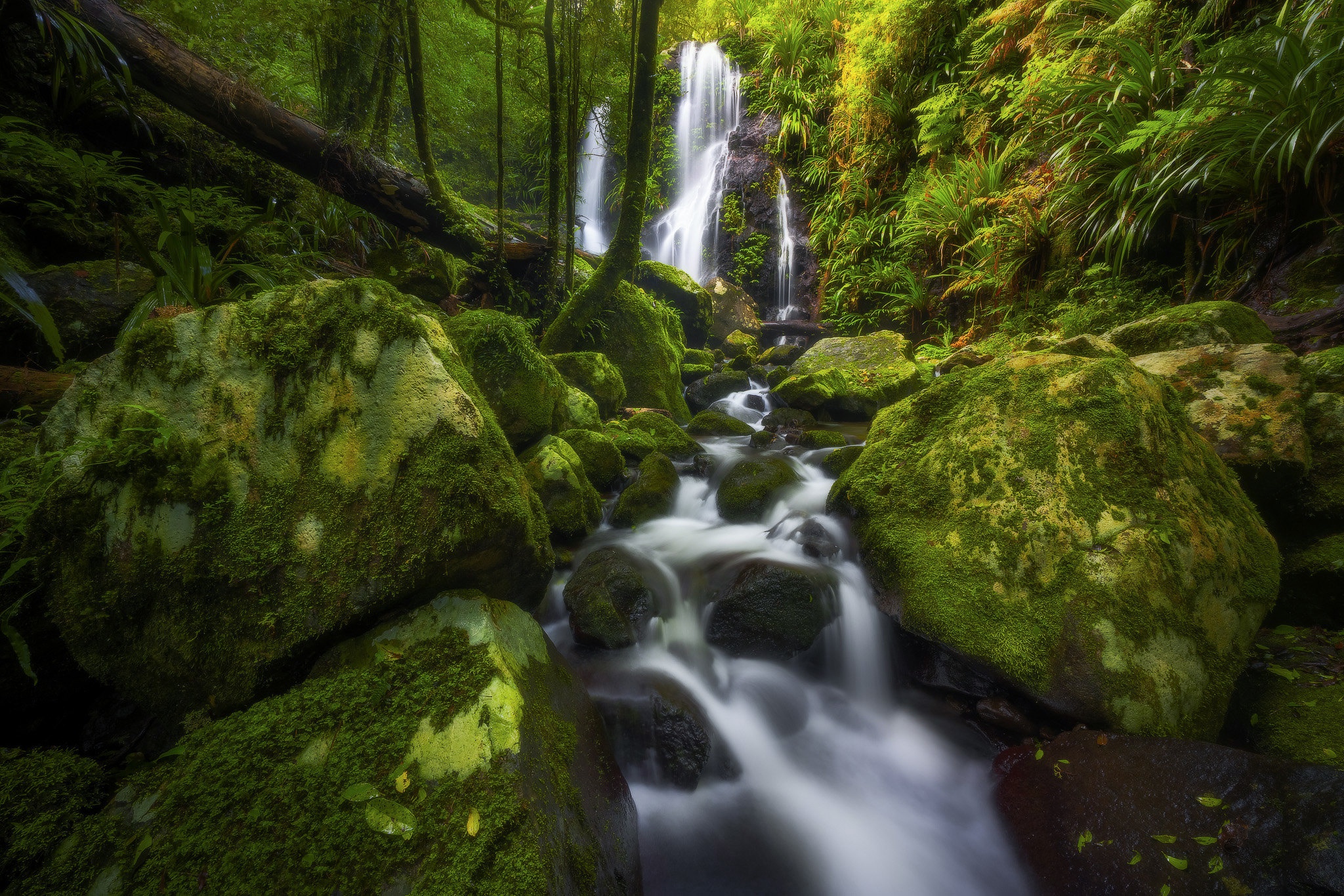 Download Nature Australia Moss Waterfall Stream HD Wallpaper