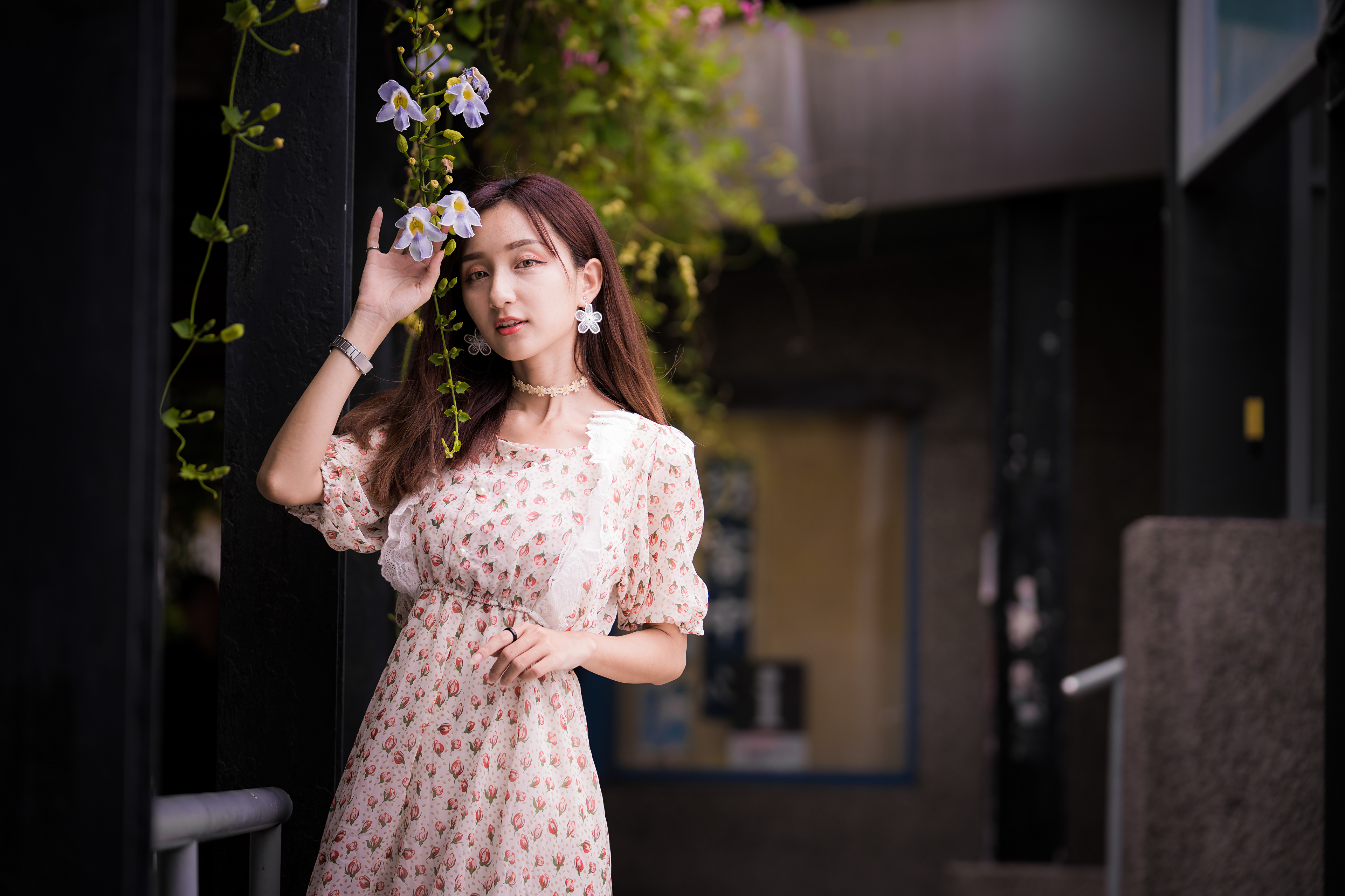 Asian 4k Ultra HD Wallpaper