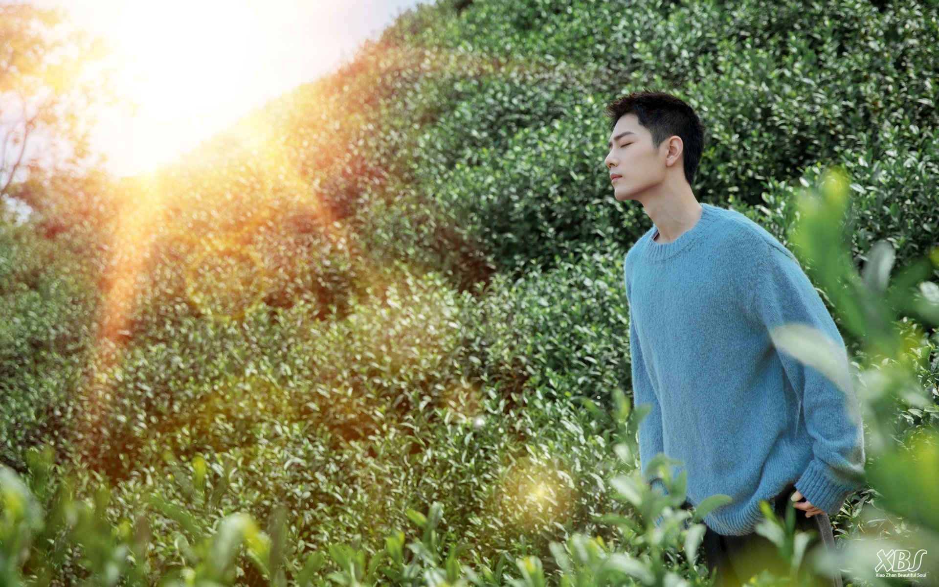 Download Celebrity Xiao Zhan HD Wallpaper | 2560x1600 | Wallpaper Abyss