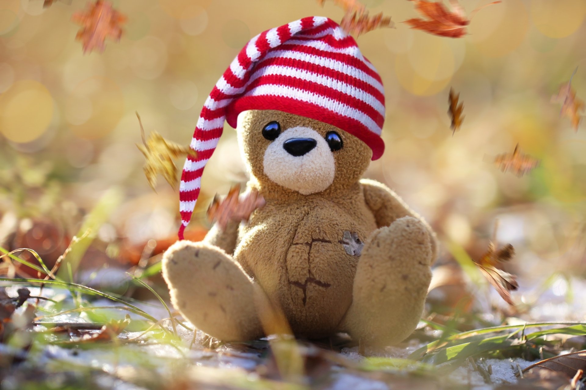 Download Teddy Bear Man Made Stuffed Animal HD Wallpaper