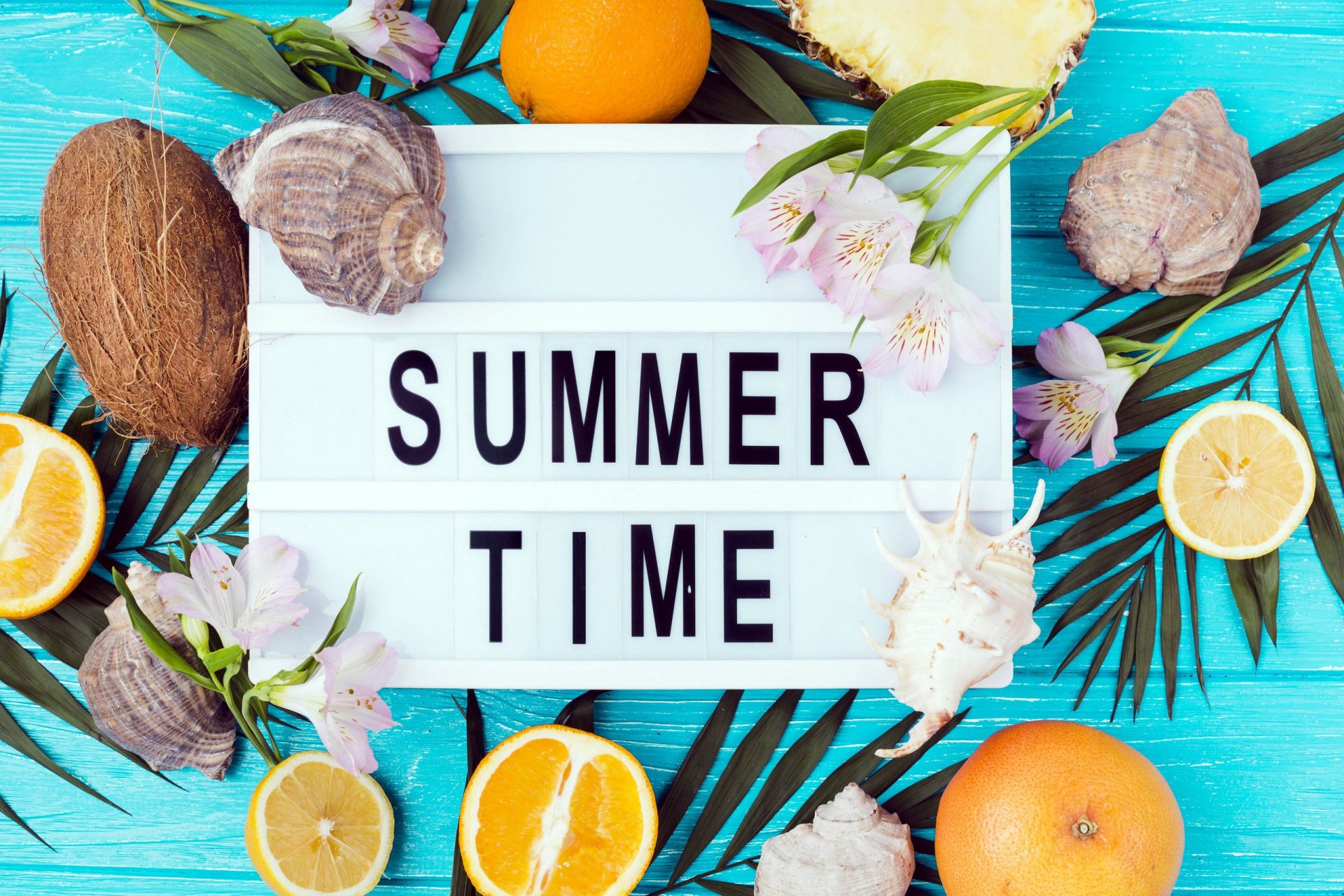 Download Summer Photography Still Life HD Wallpaper